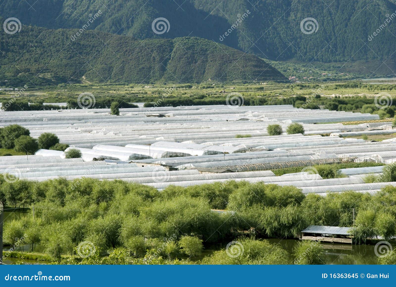 Farm tent in mountain area stock image. Image of agriculture - 16363645