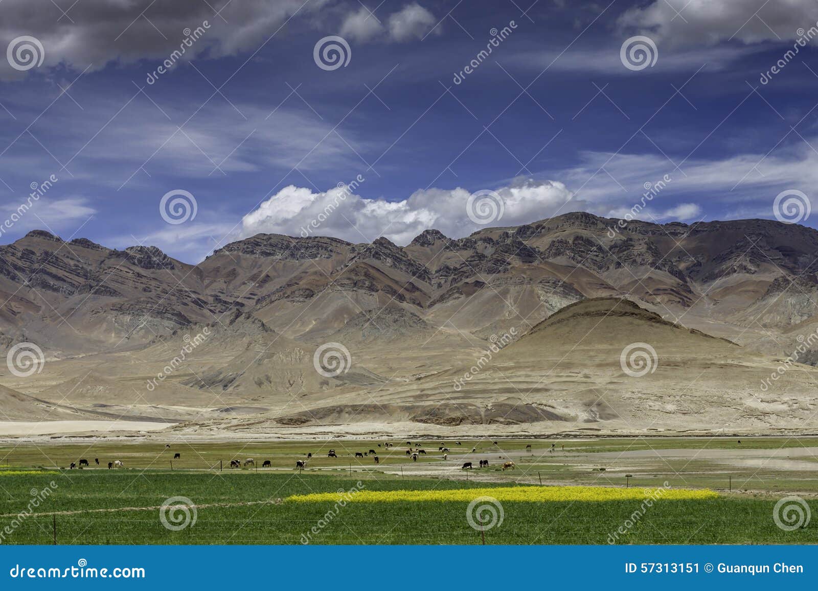 Farm in the Tibet plateau stock image. Image of view - 57313151