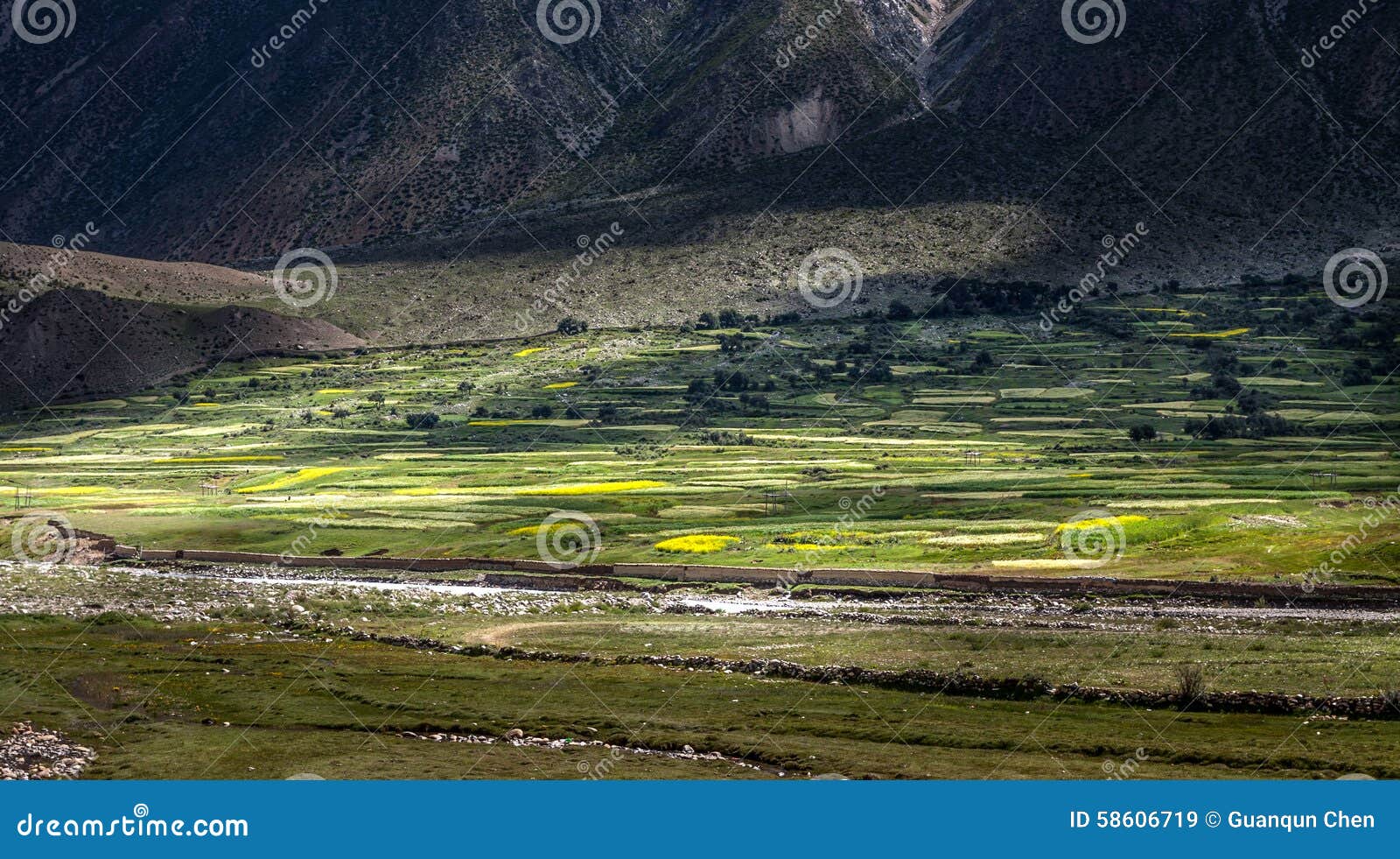 Farm in Tibet plateau stock image. Image of field, asia - 58606719