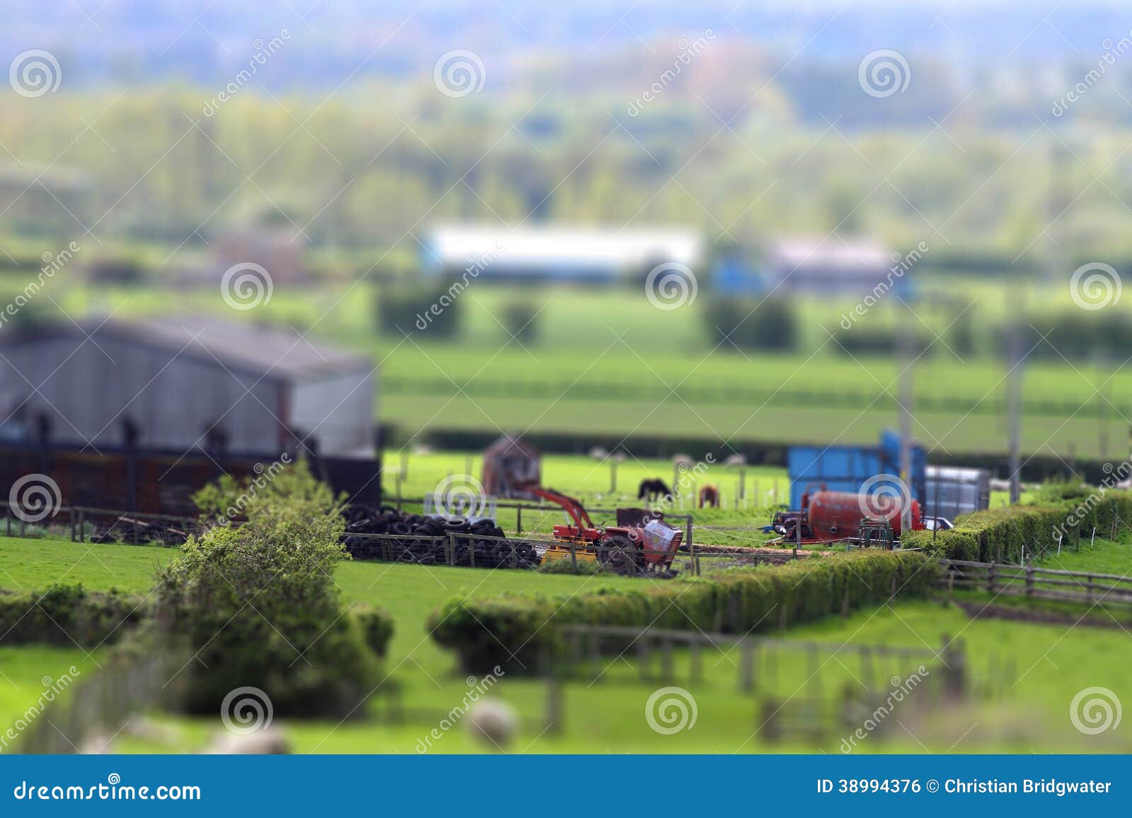 Farm tilt and shift a stock photo. Image of hedge, tree - 38994376