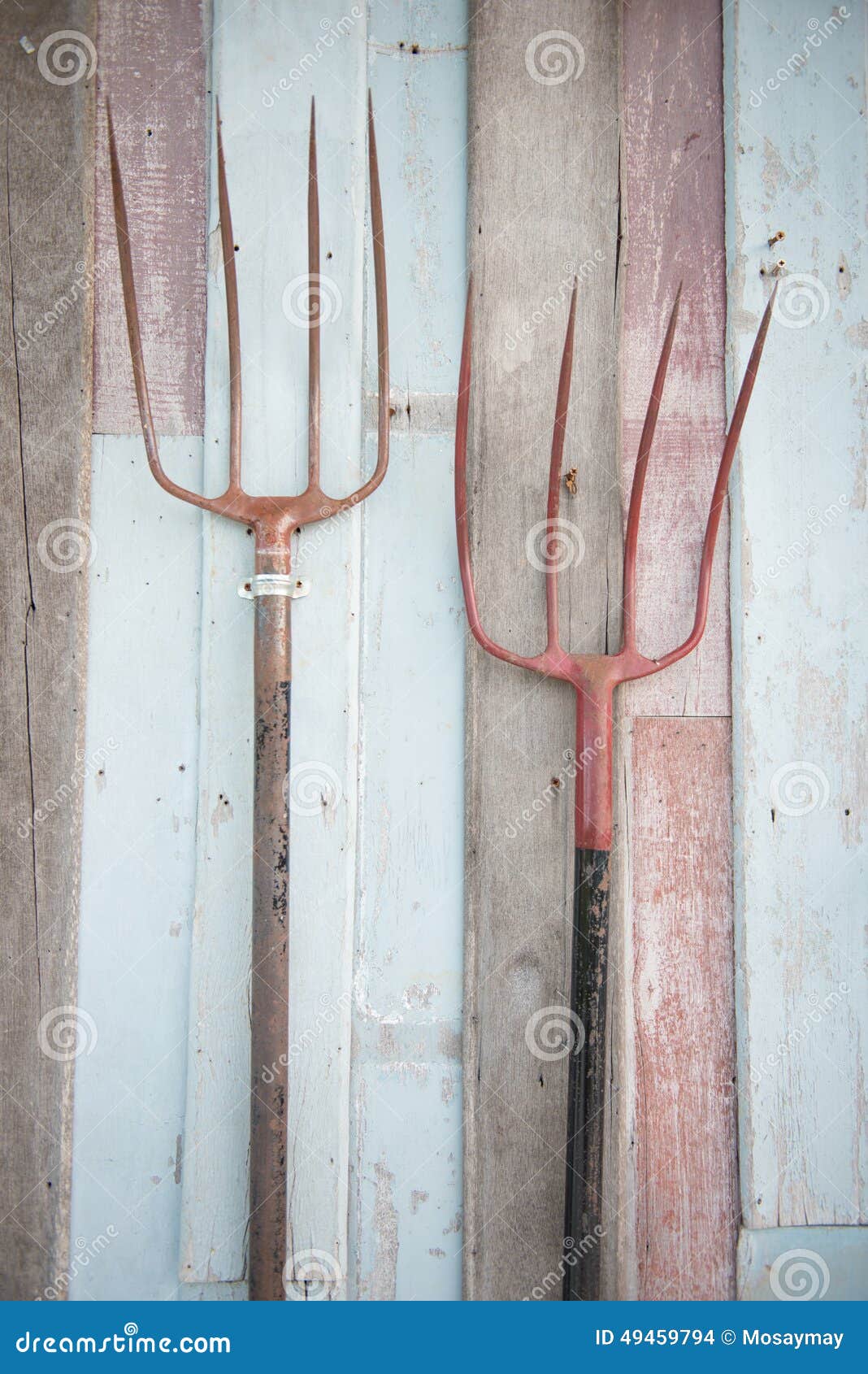 Farm Tool in Front of Country House Stock Photo - Image of cottage ...