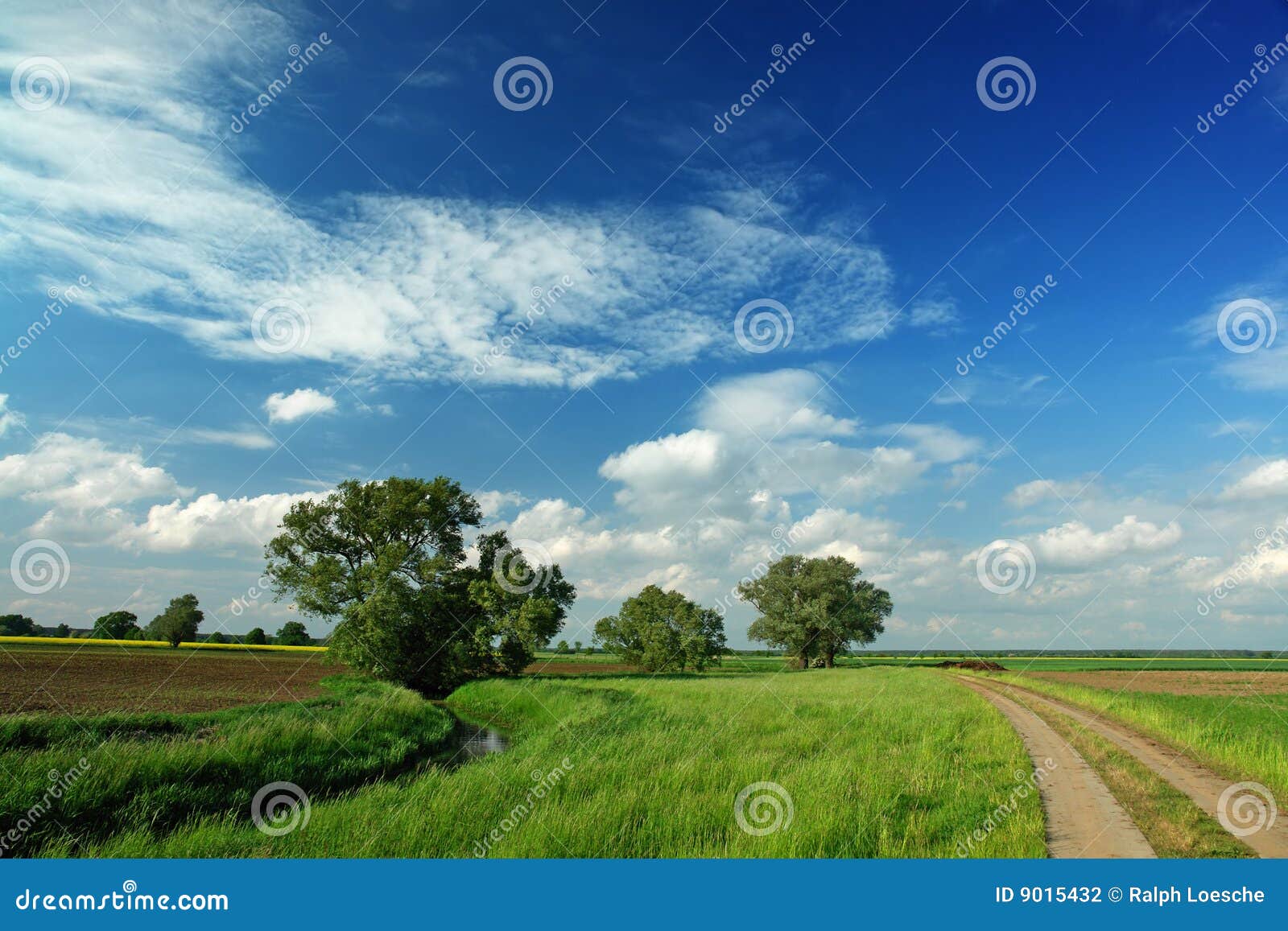 Farm track stock photo. Image of season, concrete, field - 9015432