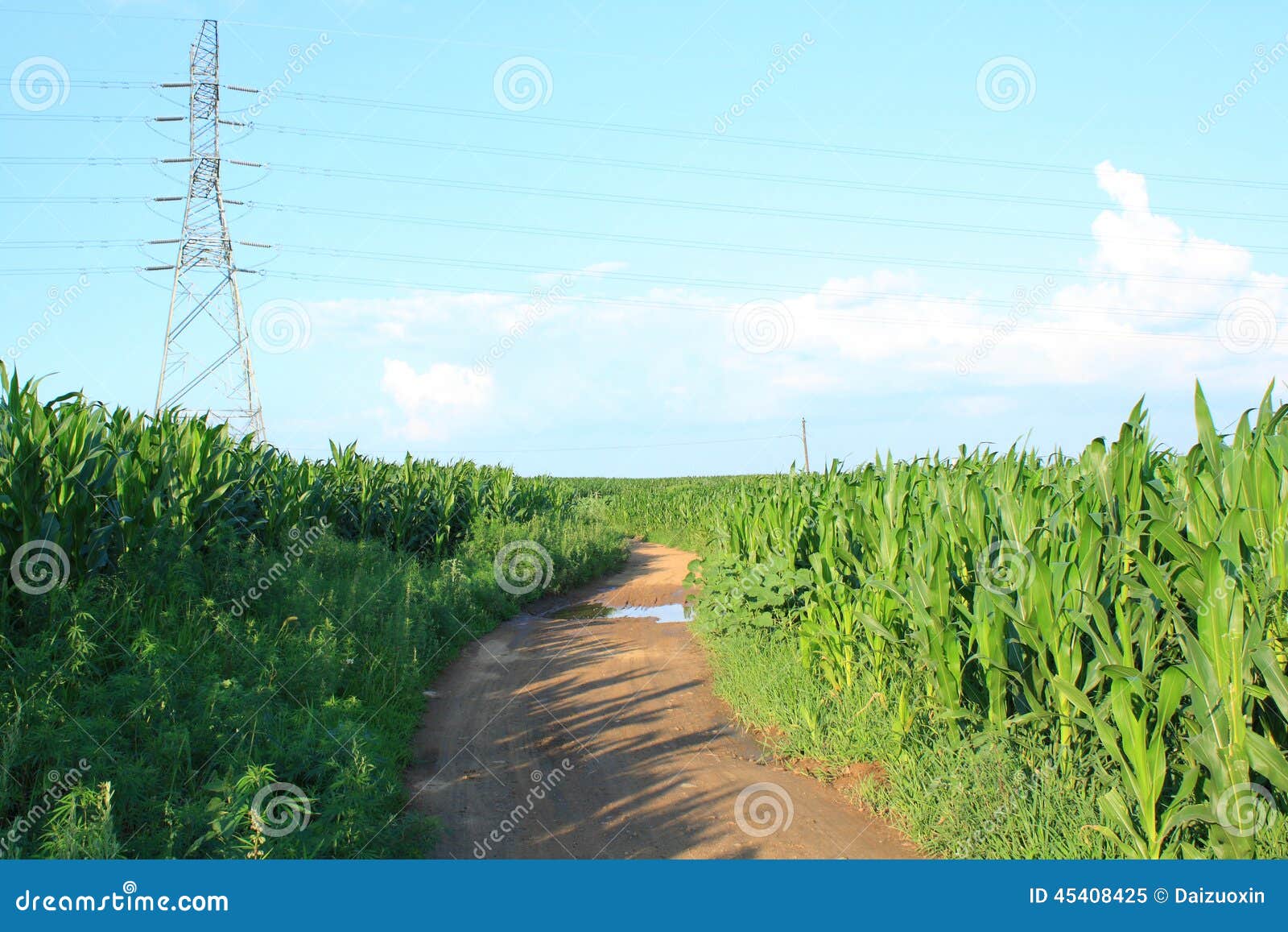 Farm track stock image. Image of communications, nature - 45408425