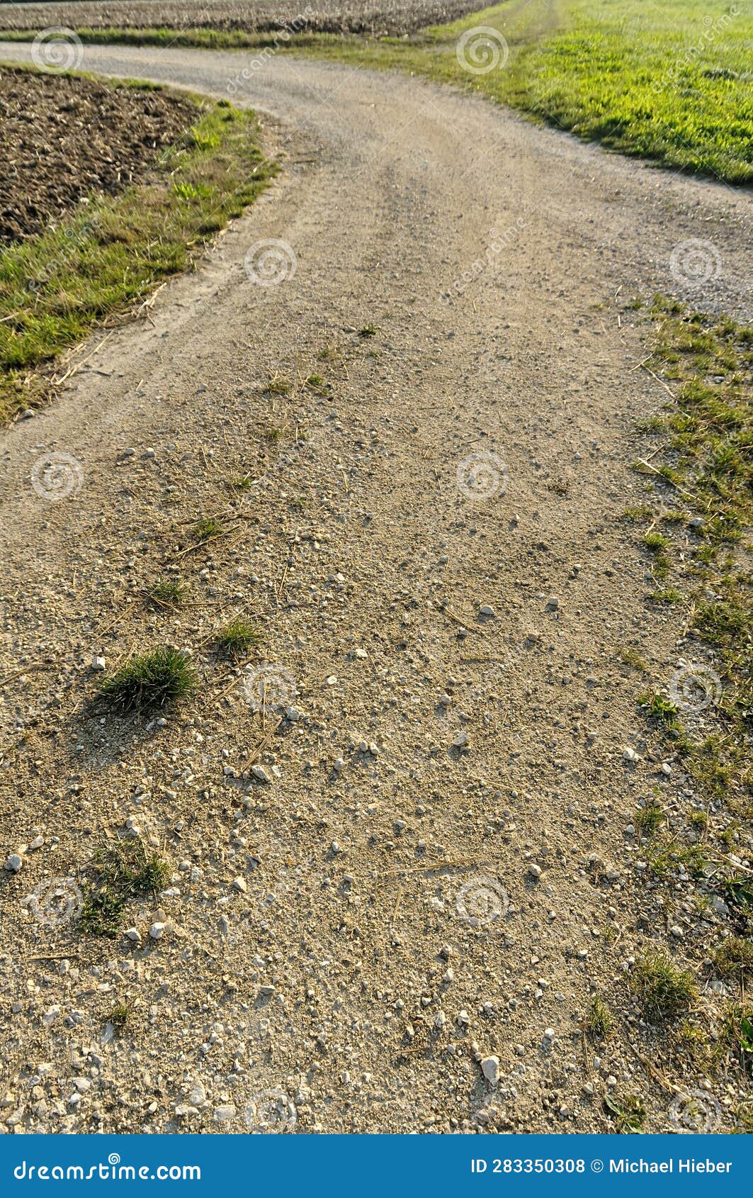 Farm Track between Meadow and Arable Stock Photo - Image of stony, path ...