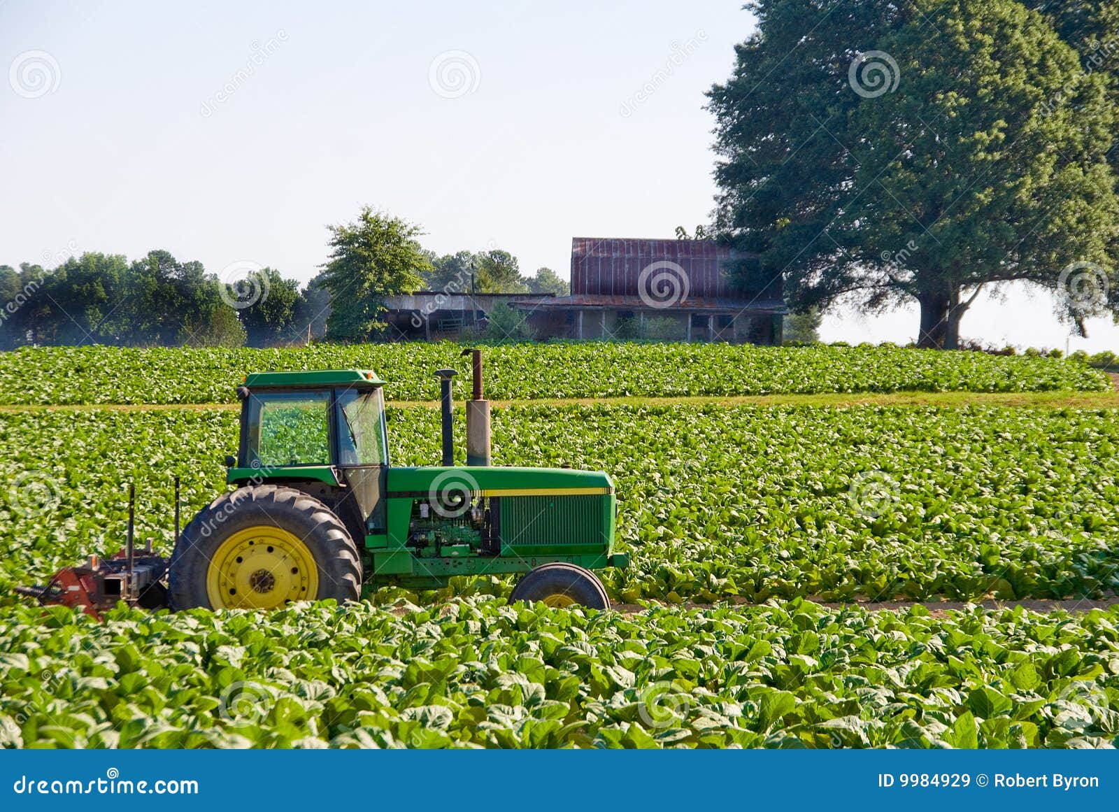 Farm Tractor editorial stock image. Image of diesel, harvest - 9984929