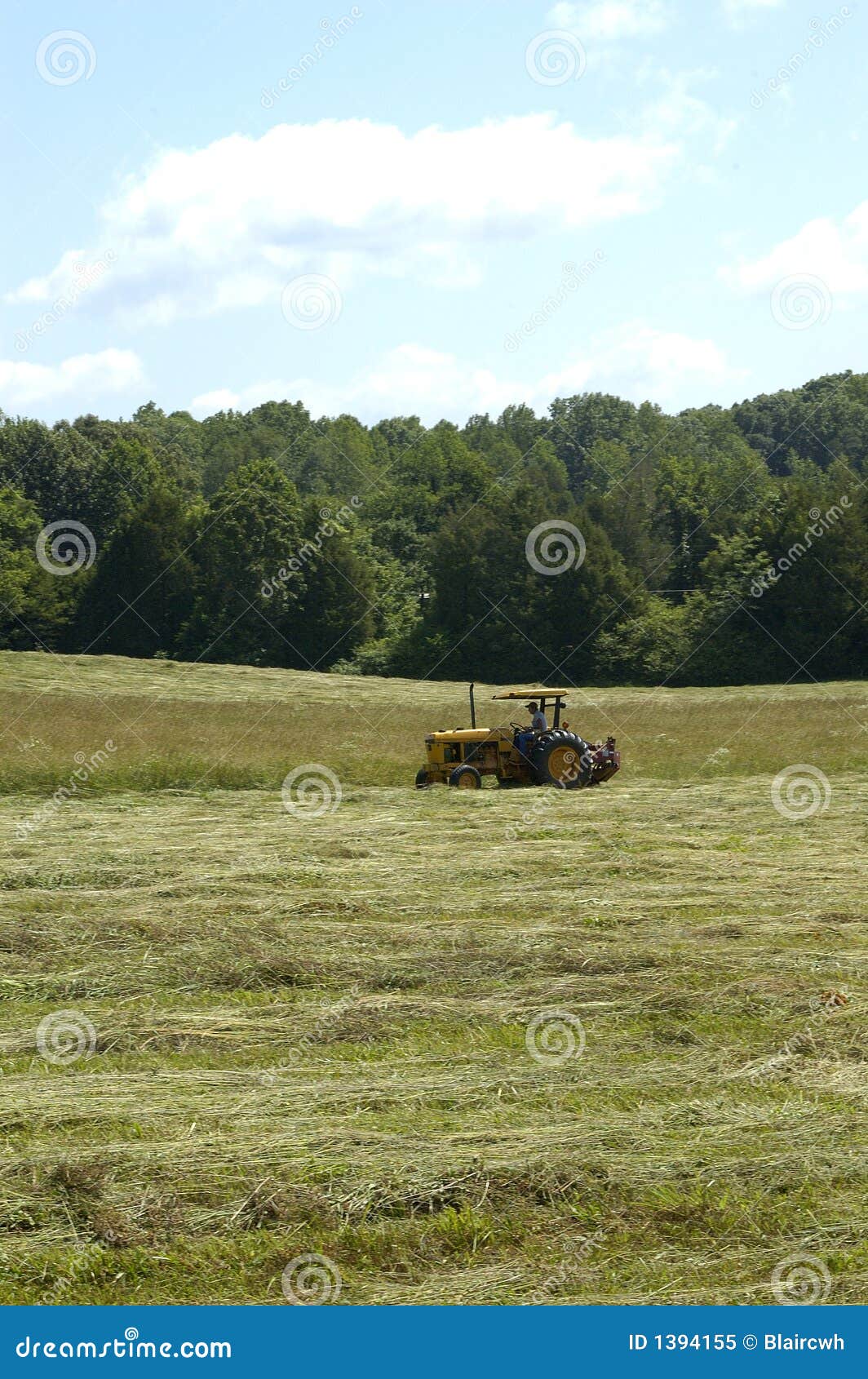 Farm Tractor Making Hay stock image. Image of fields, making - 1394155