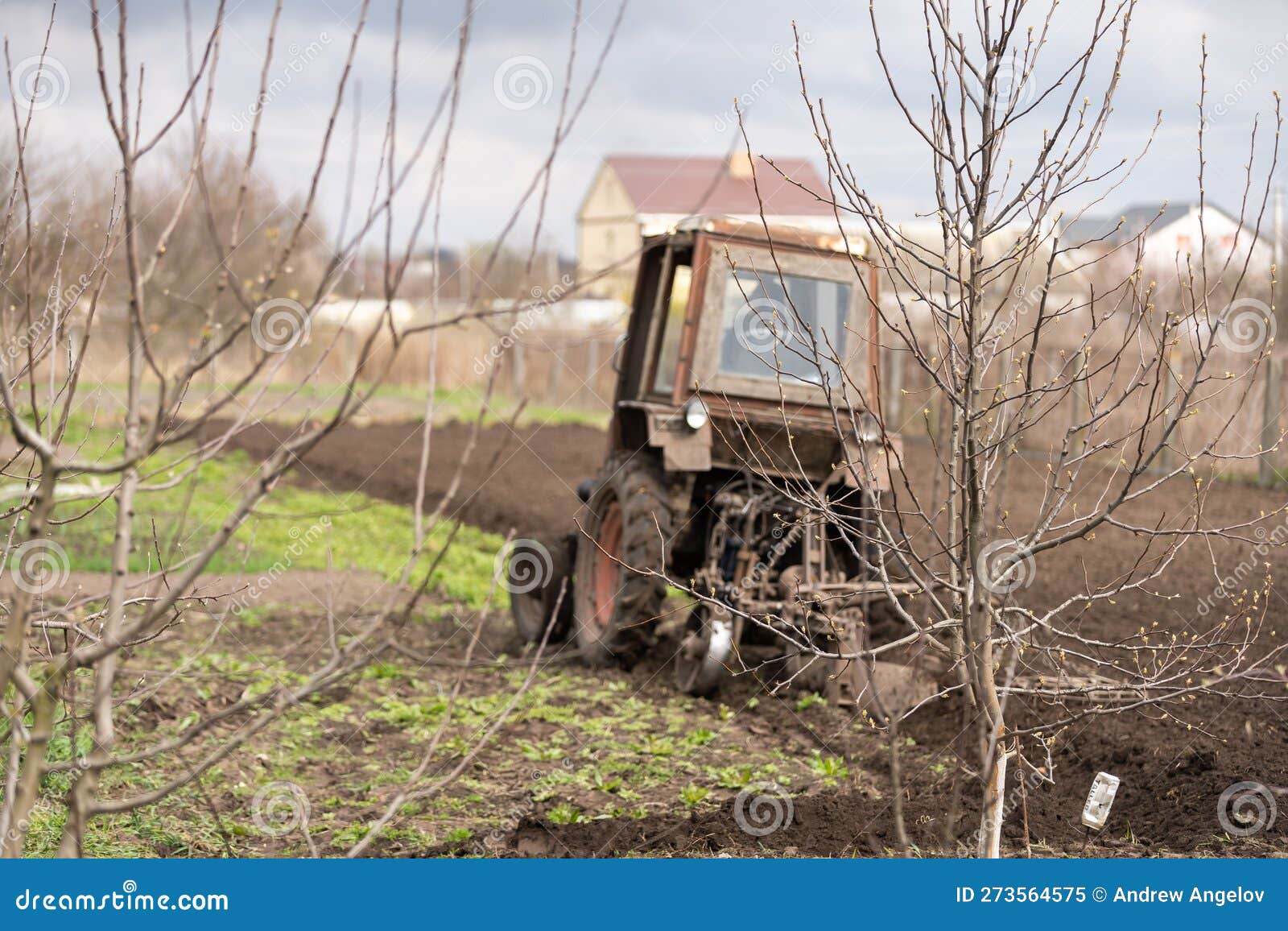 Farm Tractor with Plow Plows the Field and Prepares for Sowing. Stock ...