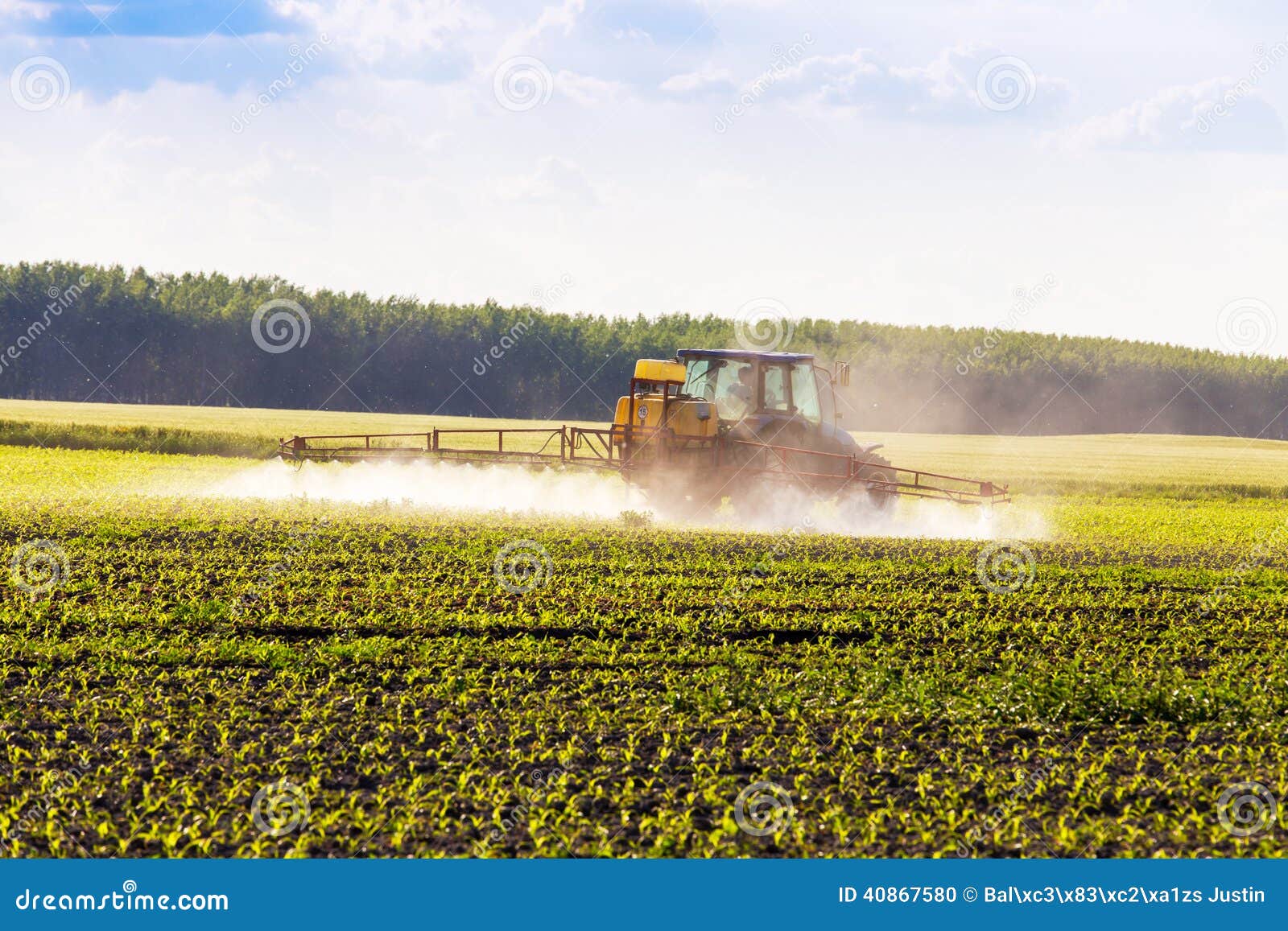 Farm Tractor Spraying a Field. Stock Photo - Image of machine, farmer ...