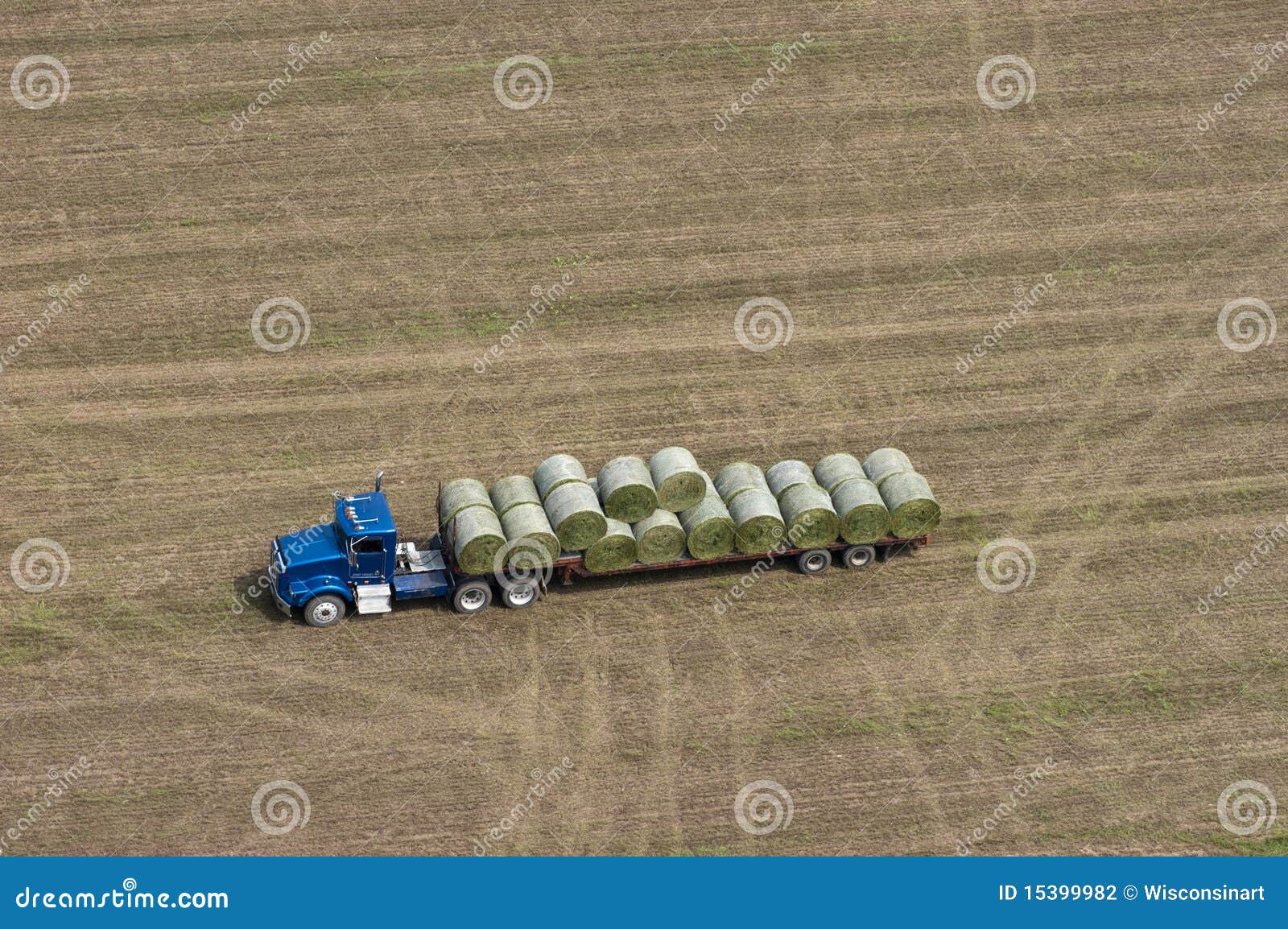 Farm Truck Loading Hay Bales for Dairy Cows Stock Photo - Image of ...