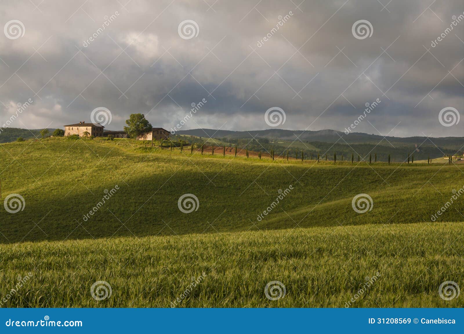 Farm in Tuscany,Italy stock image. Image of farm, farmhouse - 31208569