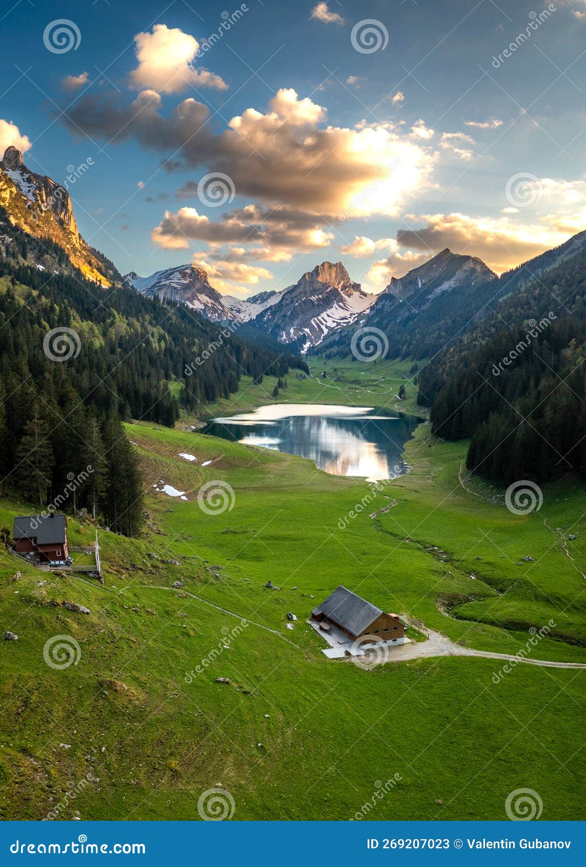 A farm in the valley stock image. Image of plant, twisty - 269207023
