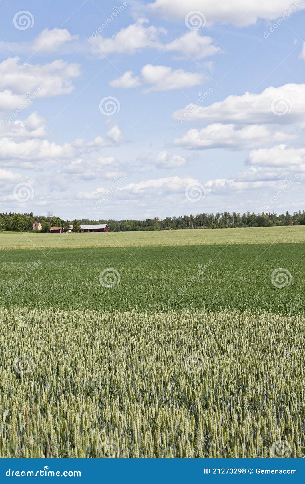 Farm view stock photo. Image of looking, ancient, land - 21273298