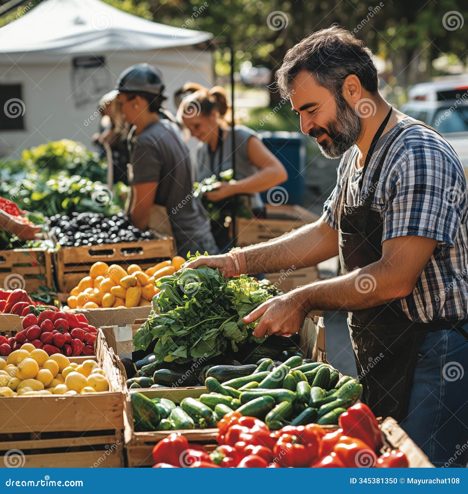Farm Water Conservetion , Farm Community, Farm Sustanable Stock ...