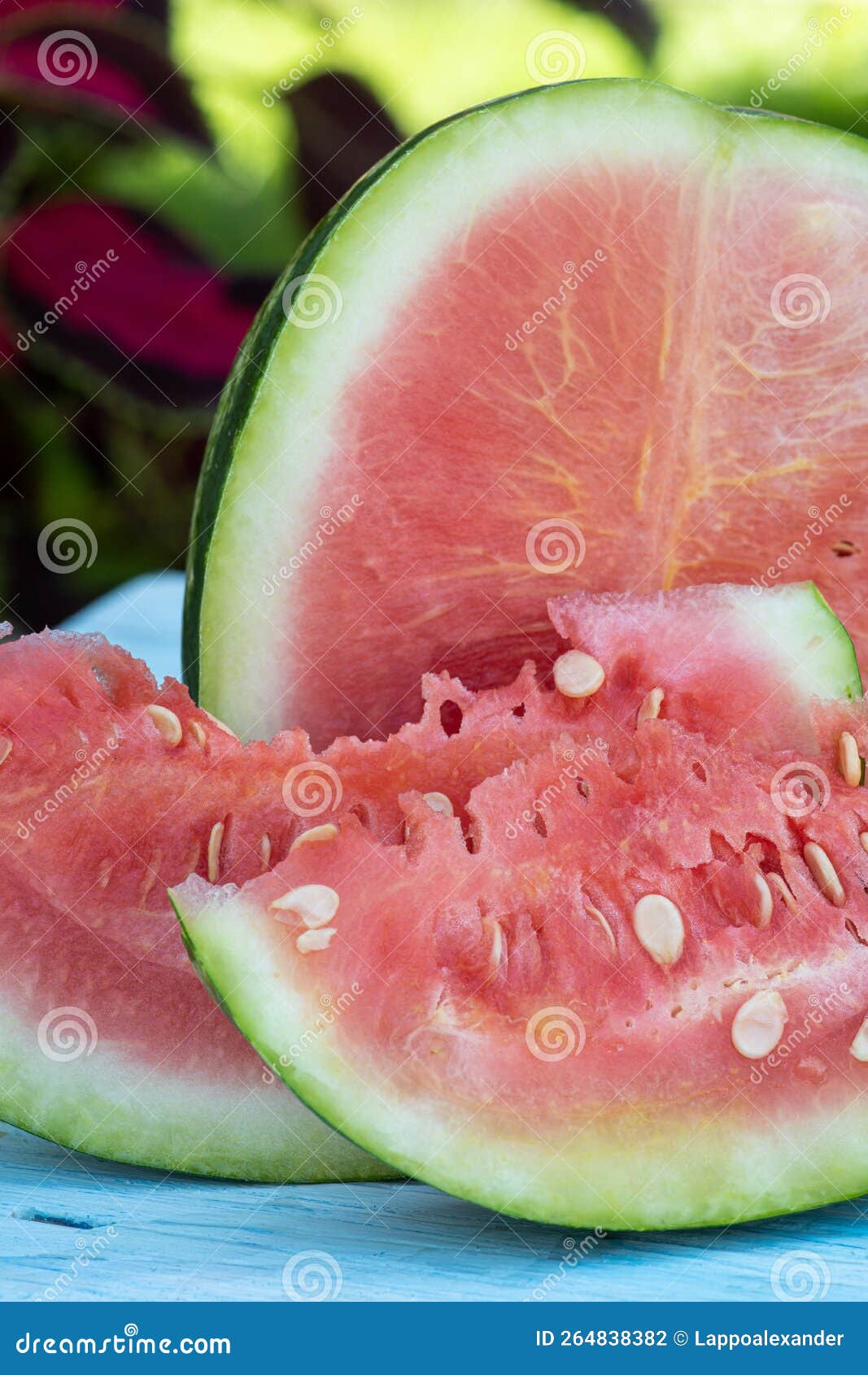 Farm Watermelon Sliced and Wedges Stock Photo - Image of healthy ...