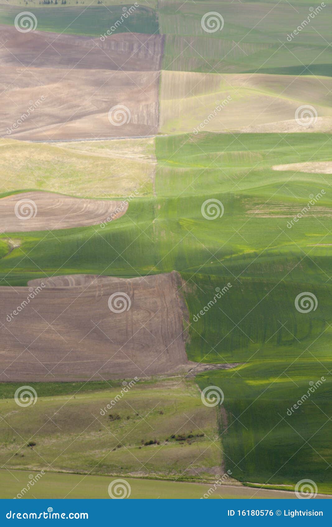 Farm and wheat fields stock photo. Image of farm, scene - 16180576