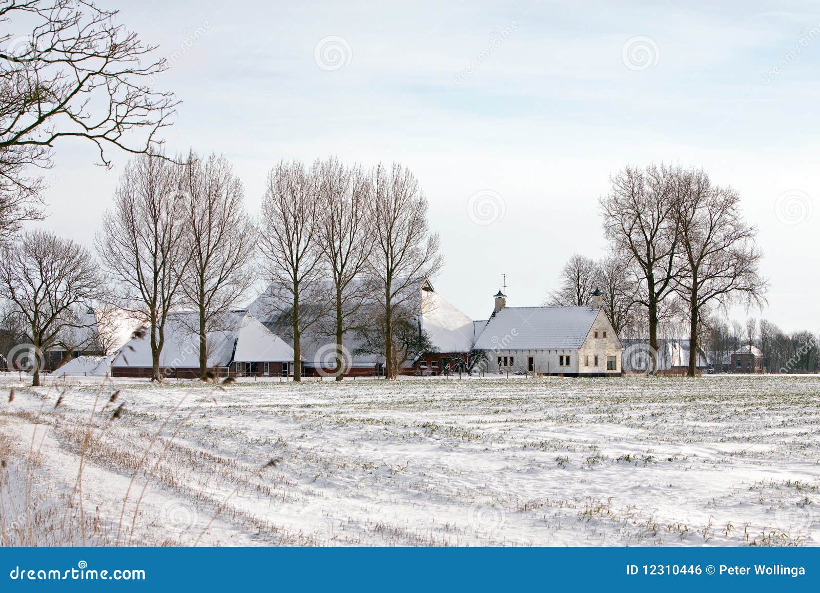 Winter Farm Landscapes