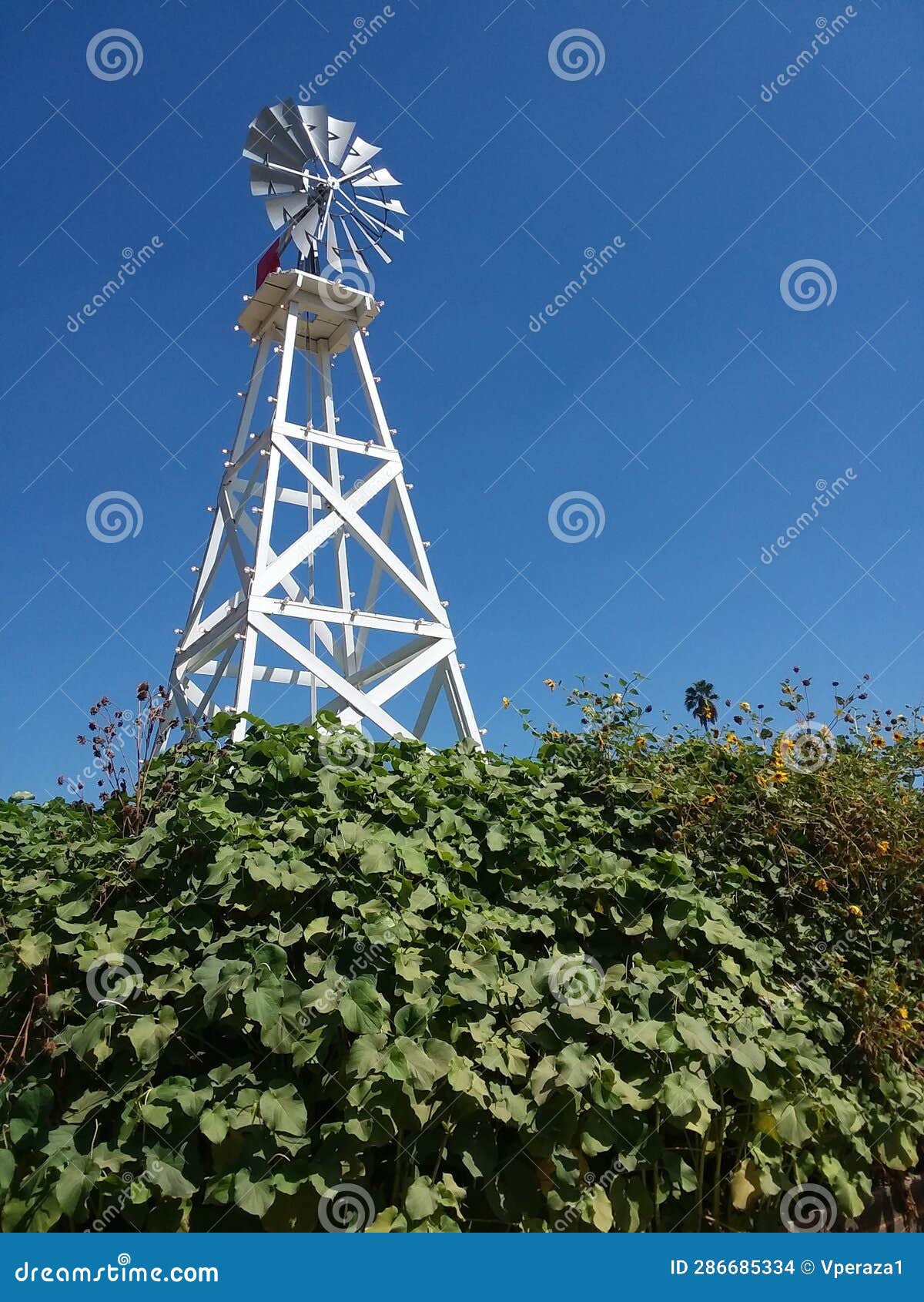 Farm Wind mill stock photo. Image of mill, wind, farm - 286685334