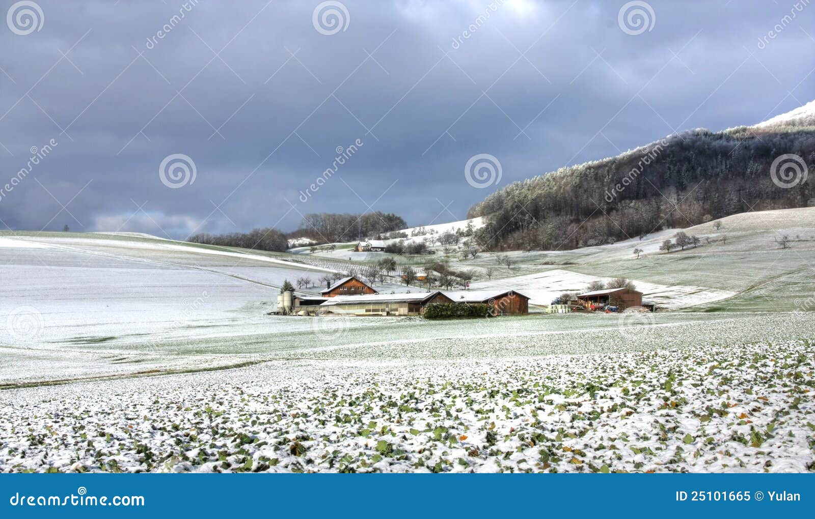 Farm in winter stock image. Image of tree, dark, covered - 25101665
