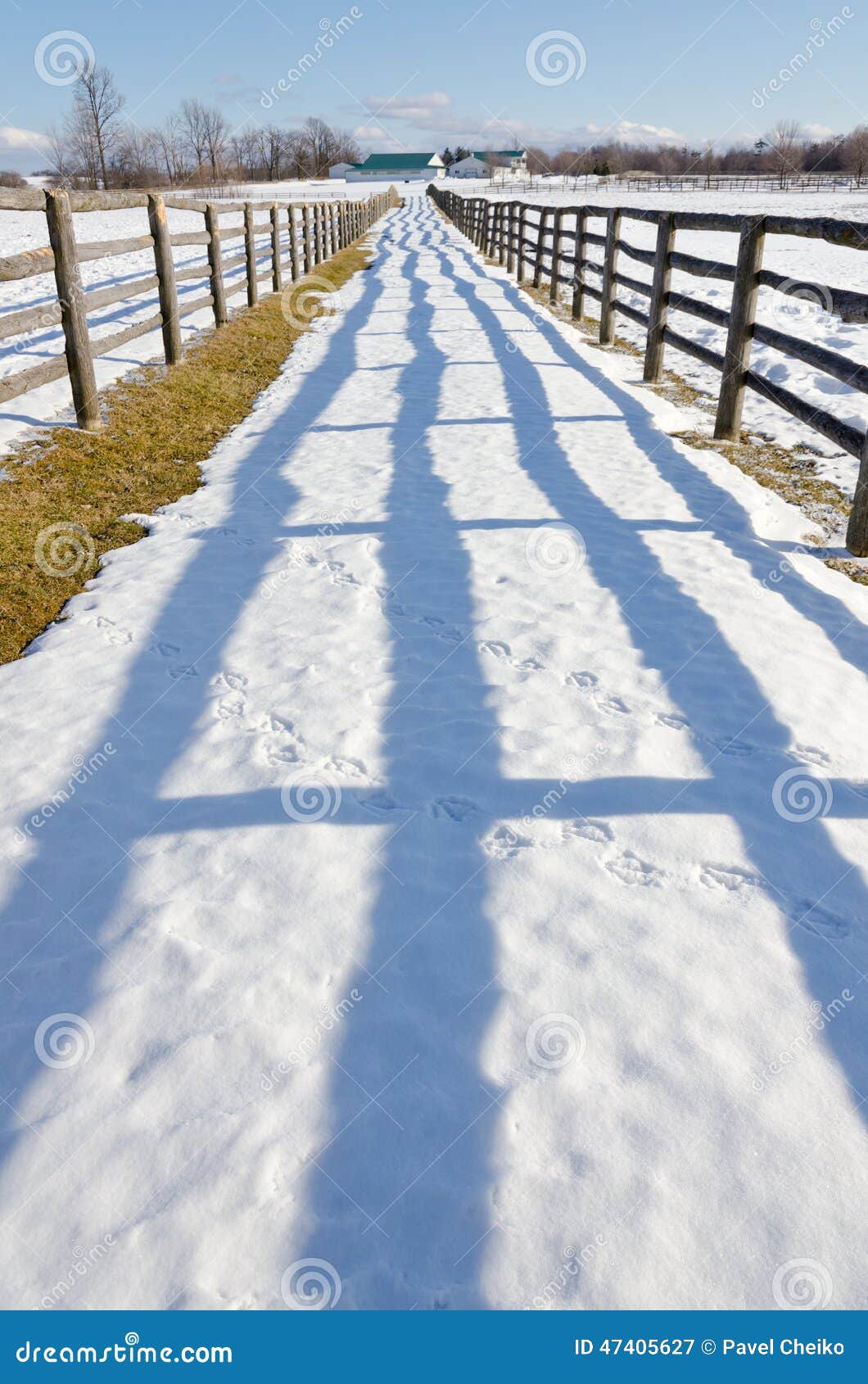 Farm in winter stock image. Image of season, shadow, gray - 47405627