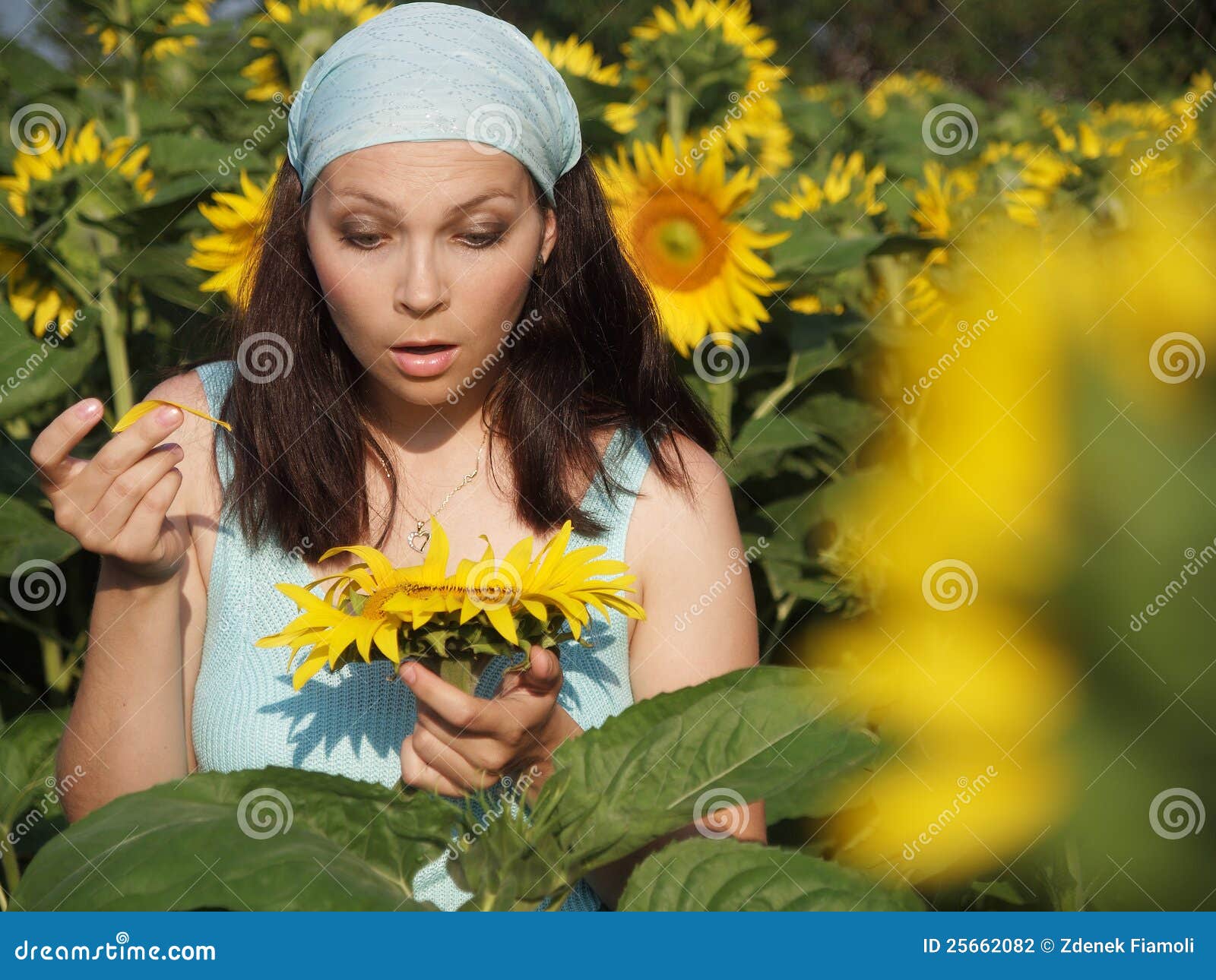 Farm woman stock photo. Image of hand, hold, summer, holding - 25662082