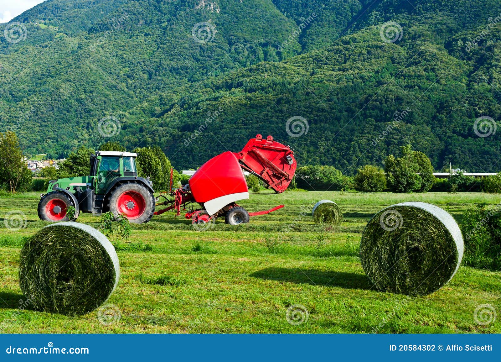 Farm work stock photo. Image of nature, environment, work - 20584302