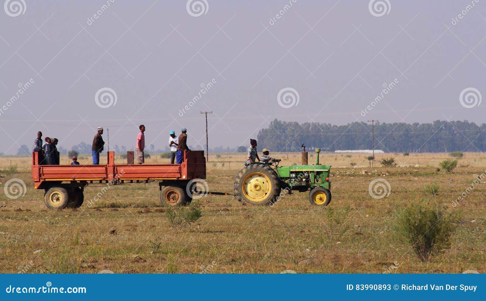 Farm Worker Activity in Rural South Africa Editorial Stock Photo ...