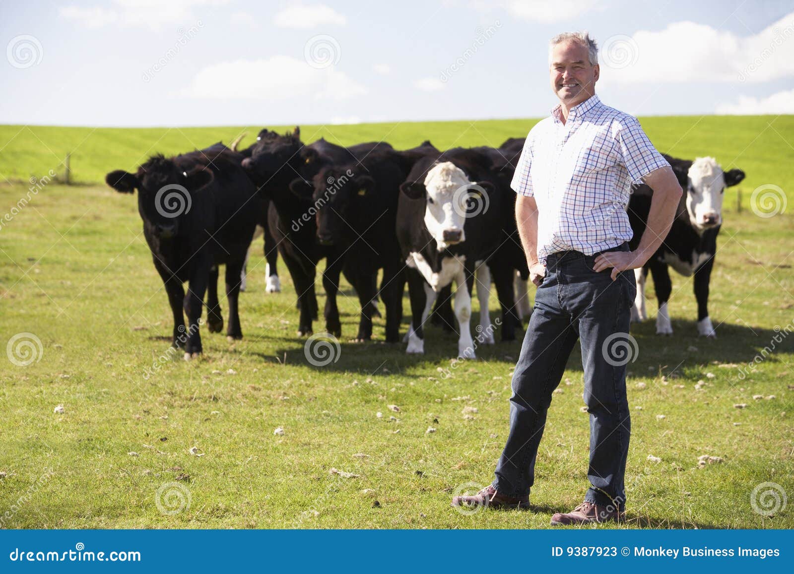 Farm Worker with Herd of Cows Stock Image - Image of horizontal, field ...