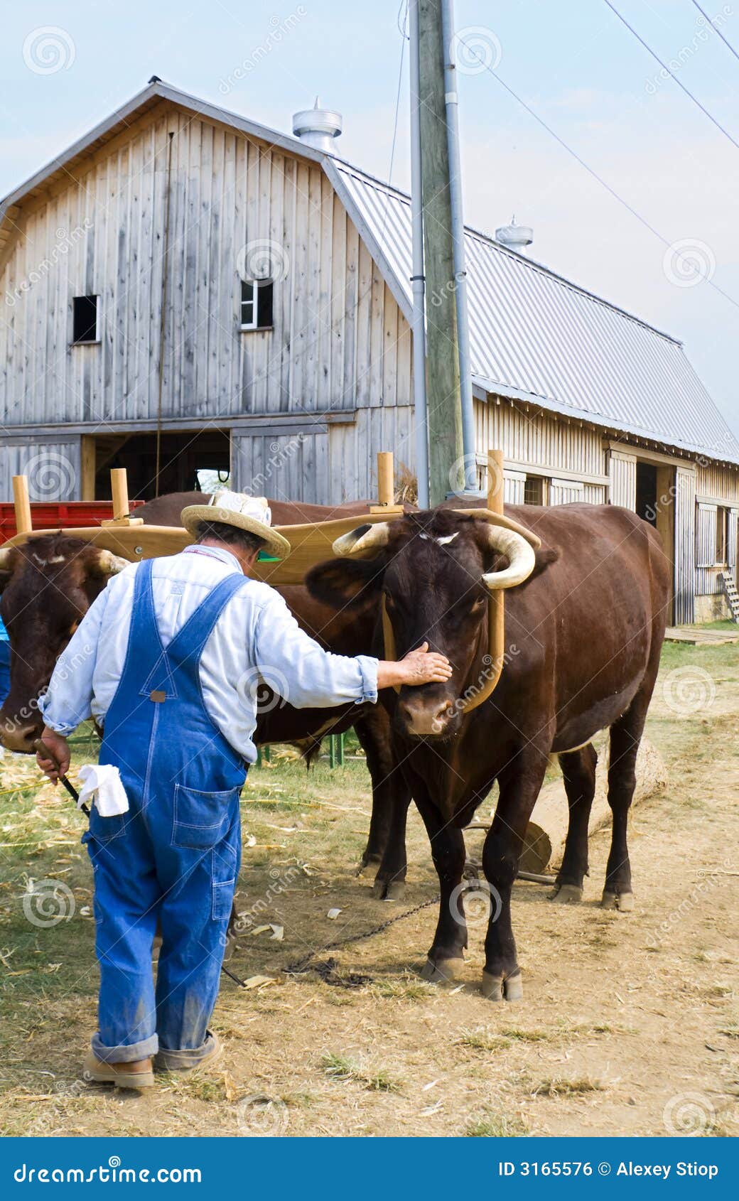 Farmer stock photo. Image of rural, midwest, clothes, farmland - 3165576