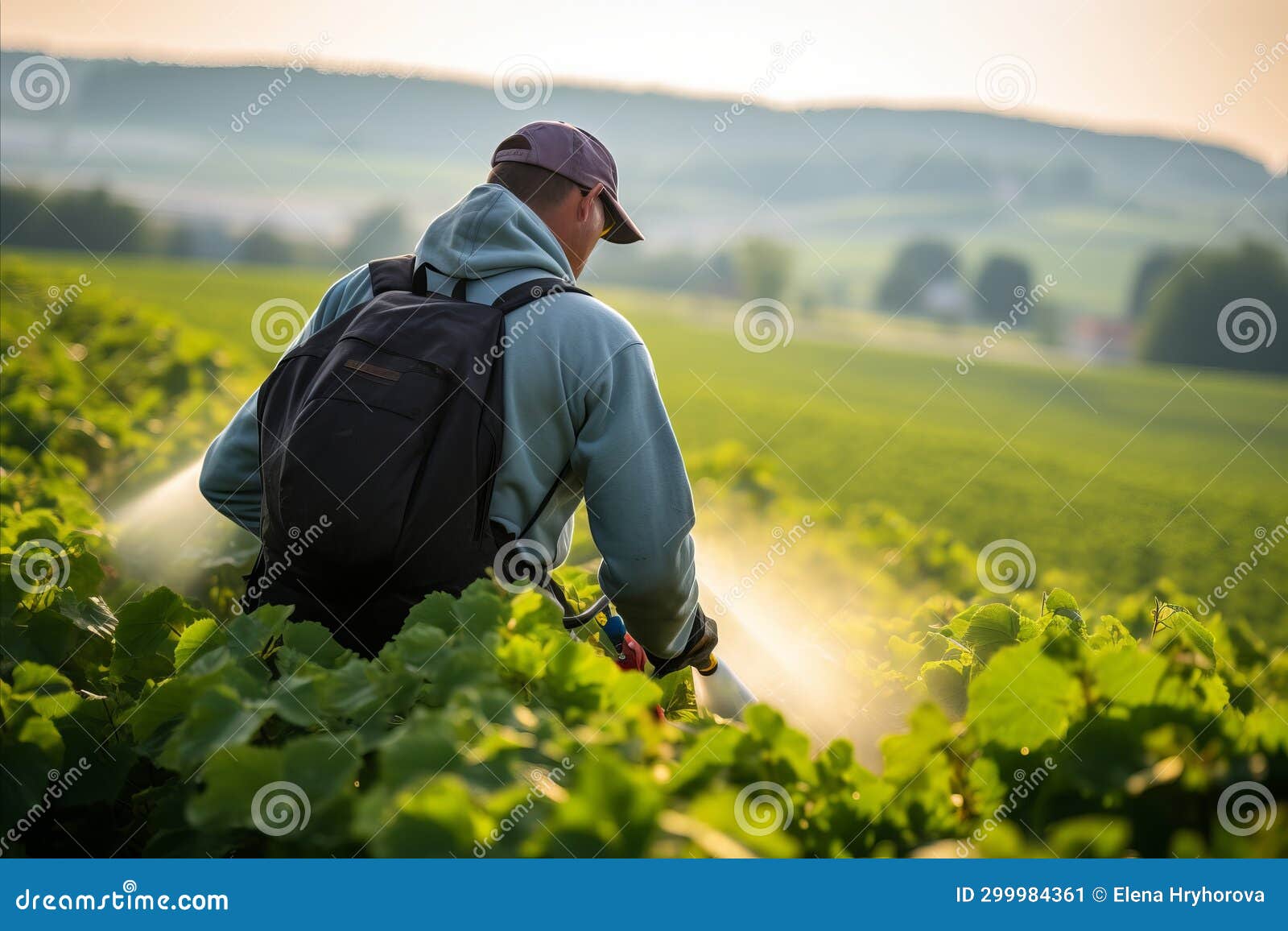 Farmer Applying Insecticides in a Vineyard Stock Image - Image of ...