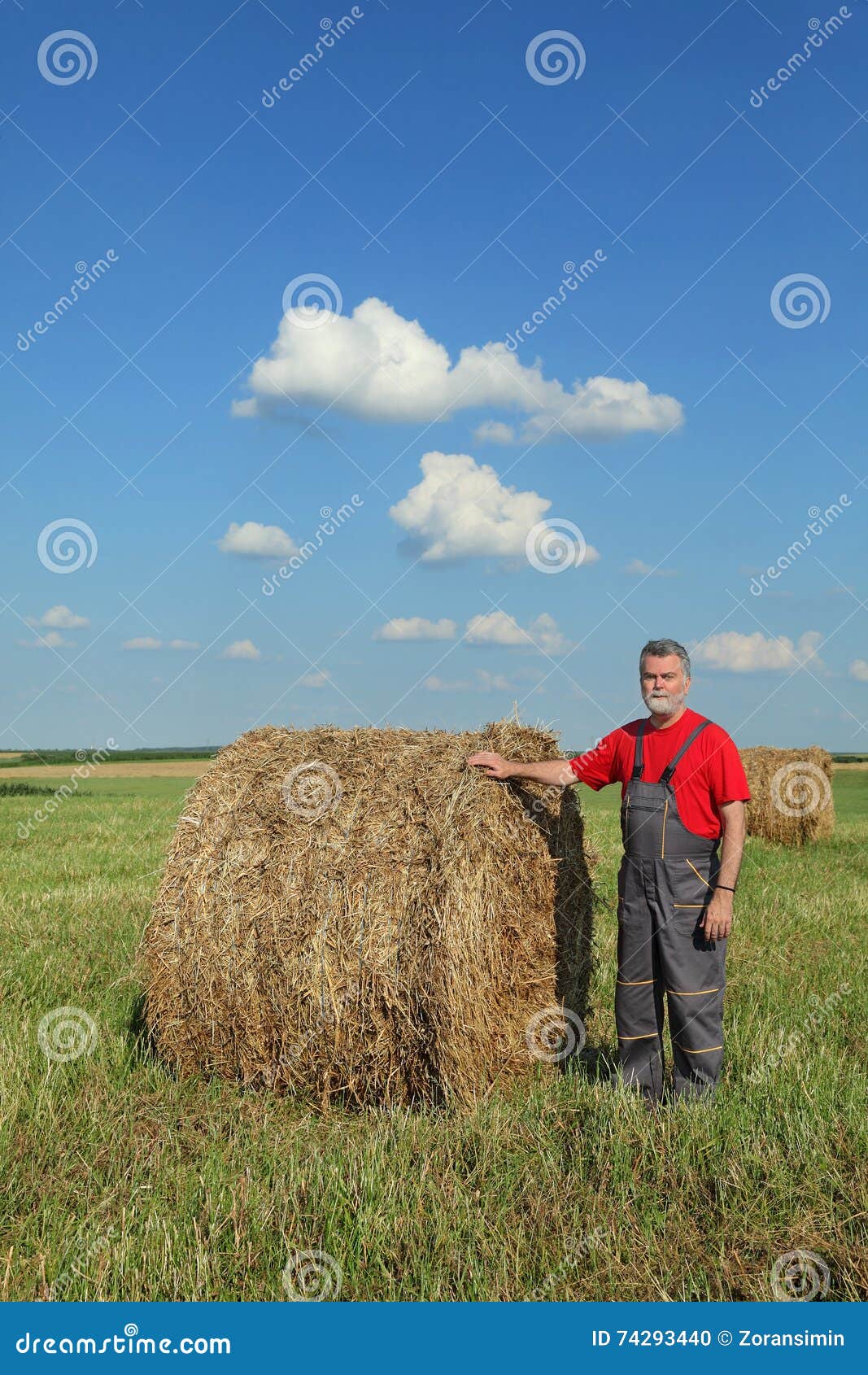 Farmer and Bale of Hay in Field Stock Photo - Image of country, field ...