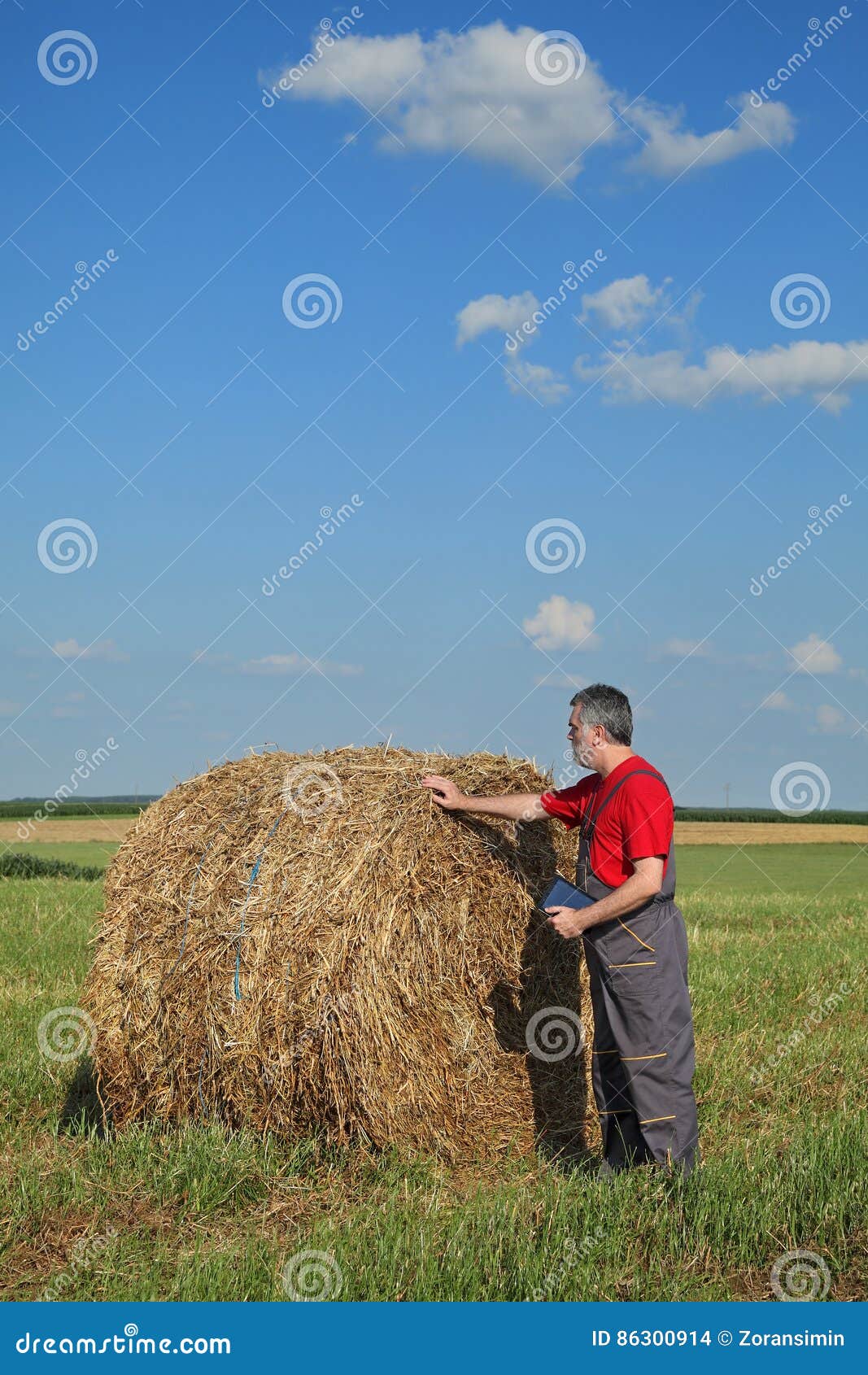 Farmer and Bale of Hay in Field Stock Photo - Image of baling, harvest ...