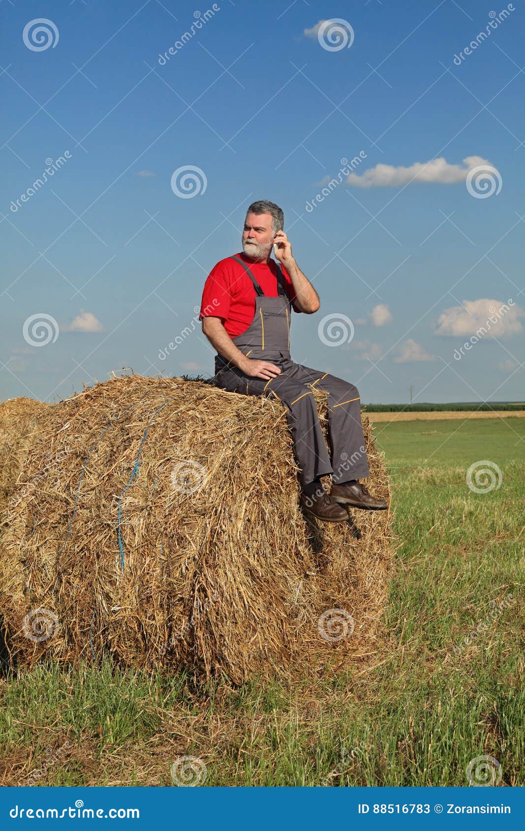 Farmer and Bale of Hay in Field Stock Image - Image of landscape ...