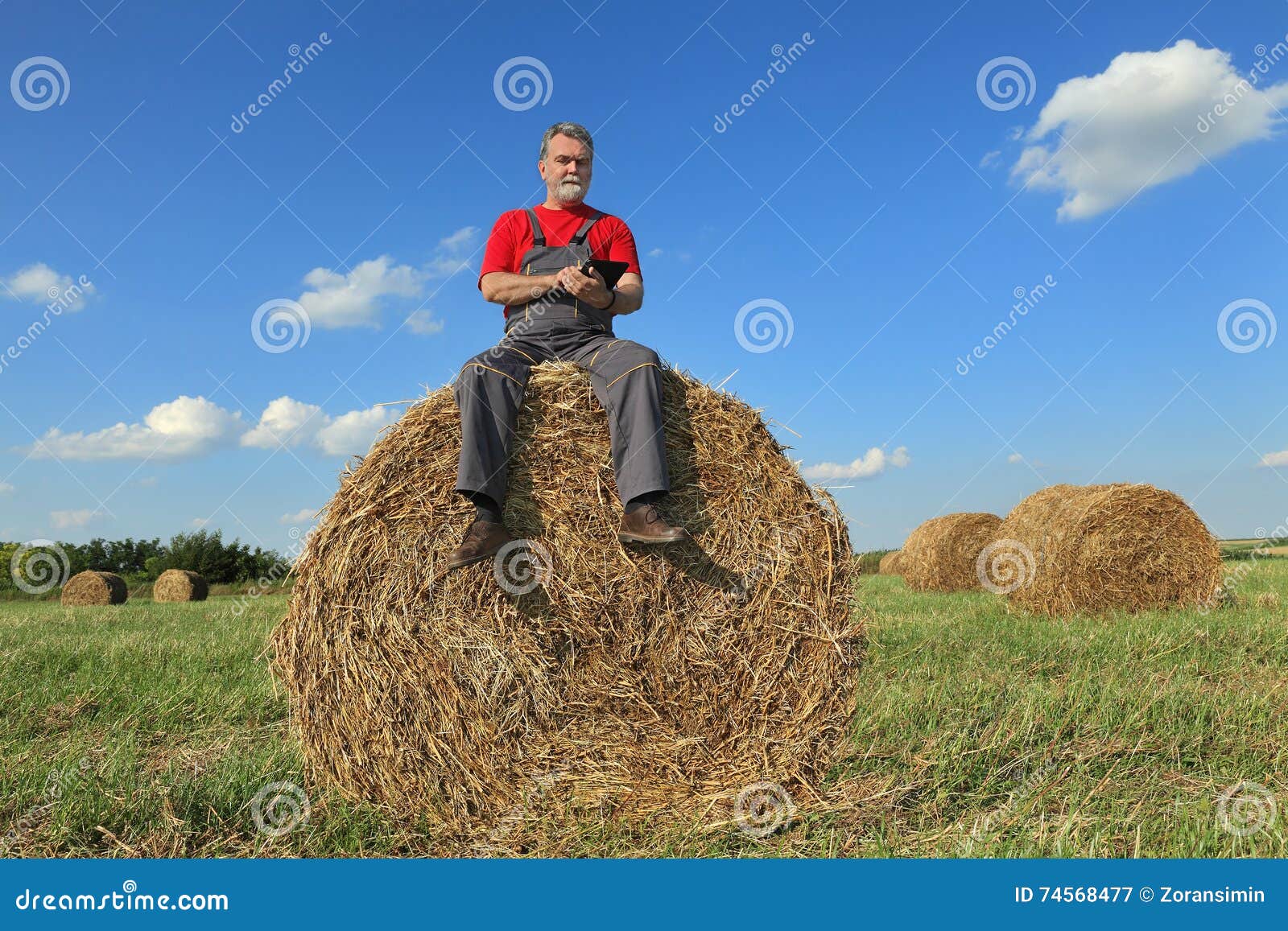 Farmer and Bale of Hay in Field Stock Image - Image of country, grow ...