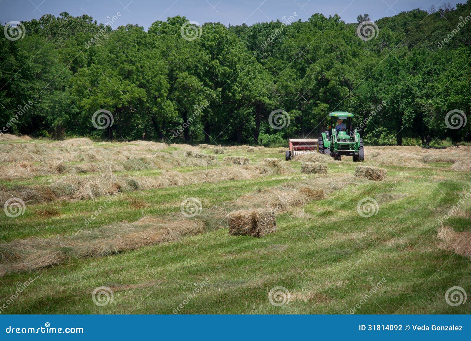 Farmer Bales Hay stock photo. Image of square, baler - 31814092