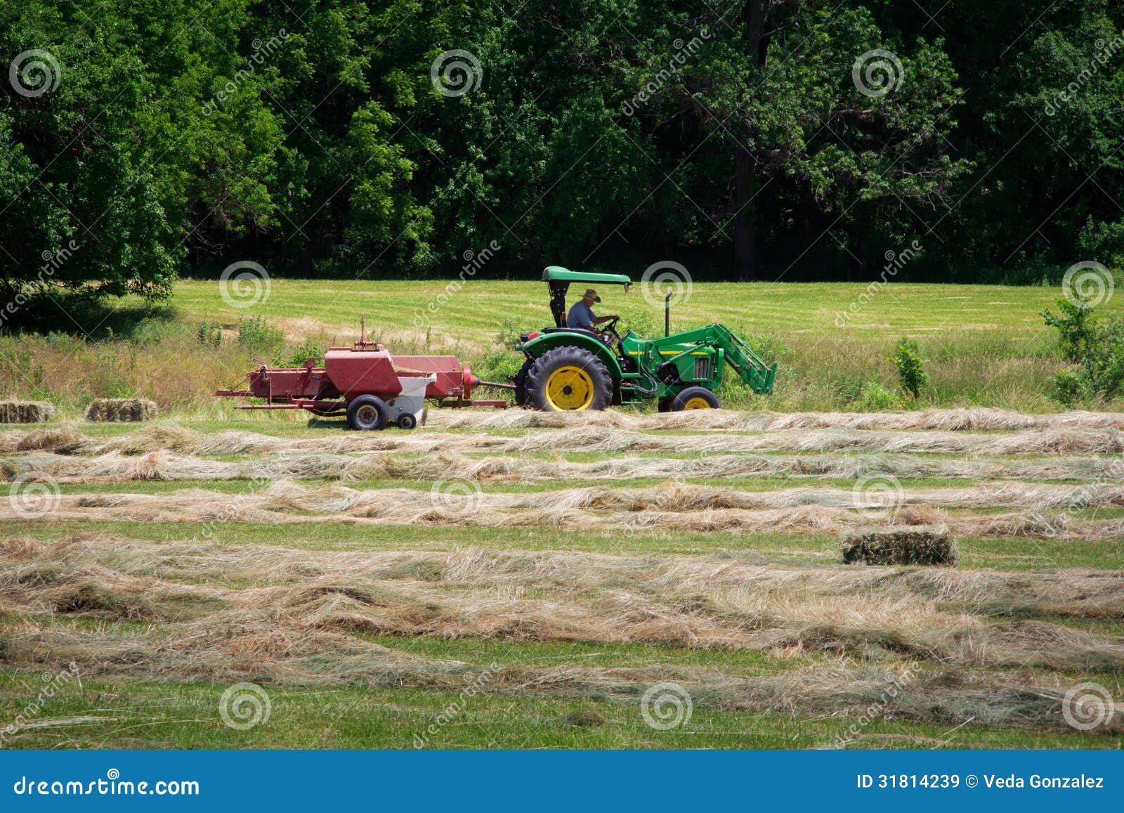 Farmer Bales Hay stock image. Image of baling, farmwork - 31814239