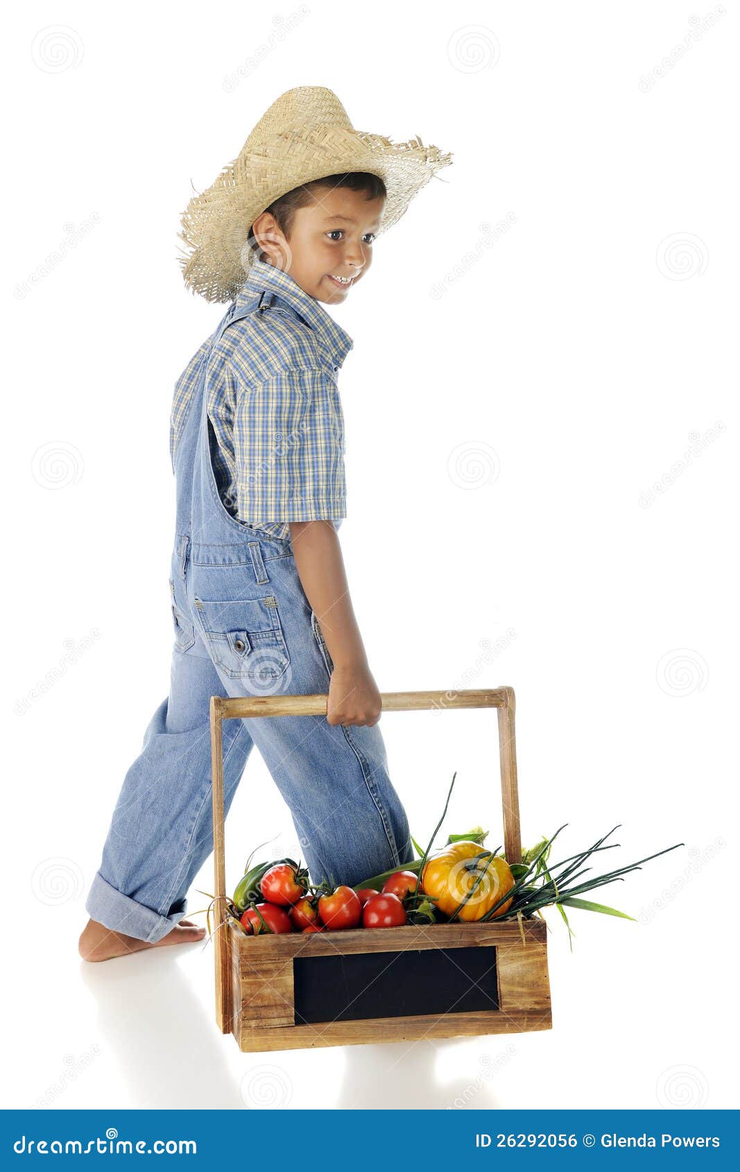 Farmer Boy with Veggies stock photo. Image of food, happy - 26292056