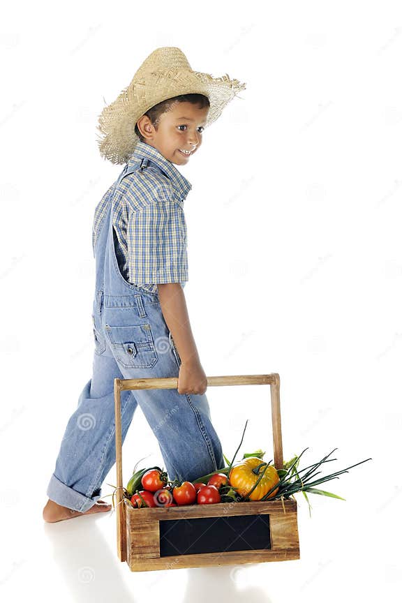Farmer Boy with Veggies stock photo. Image of food, happy - 26292056