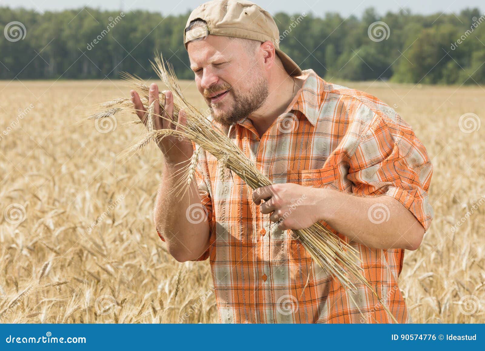 Farmer in Cap Standing at Field Stock Photo - Image of golden ...