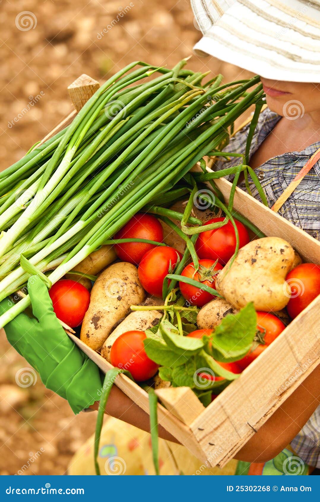 Farmer Carrying Chest of Vegetables Stock Photo - Image of gardener ...