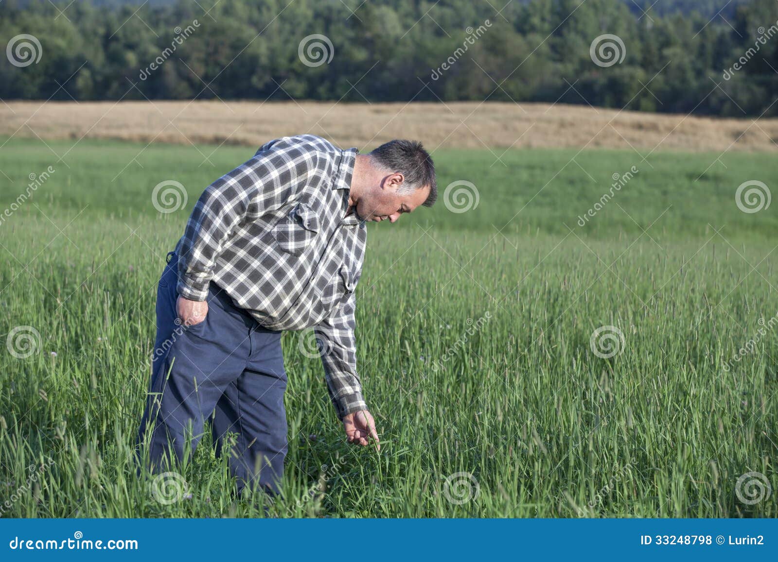 Farmer checking his crop stock photo. Image of aging - 33248798