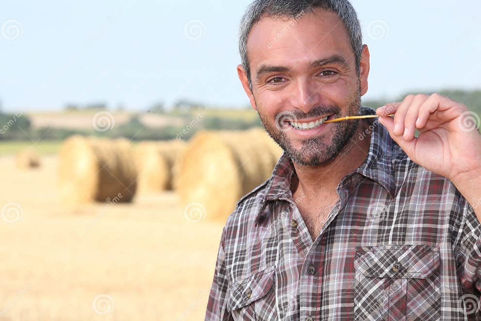 Farmer chewing a straw stock photo. Image of years, european - 28195292