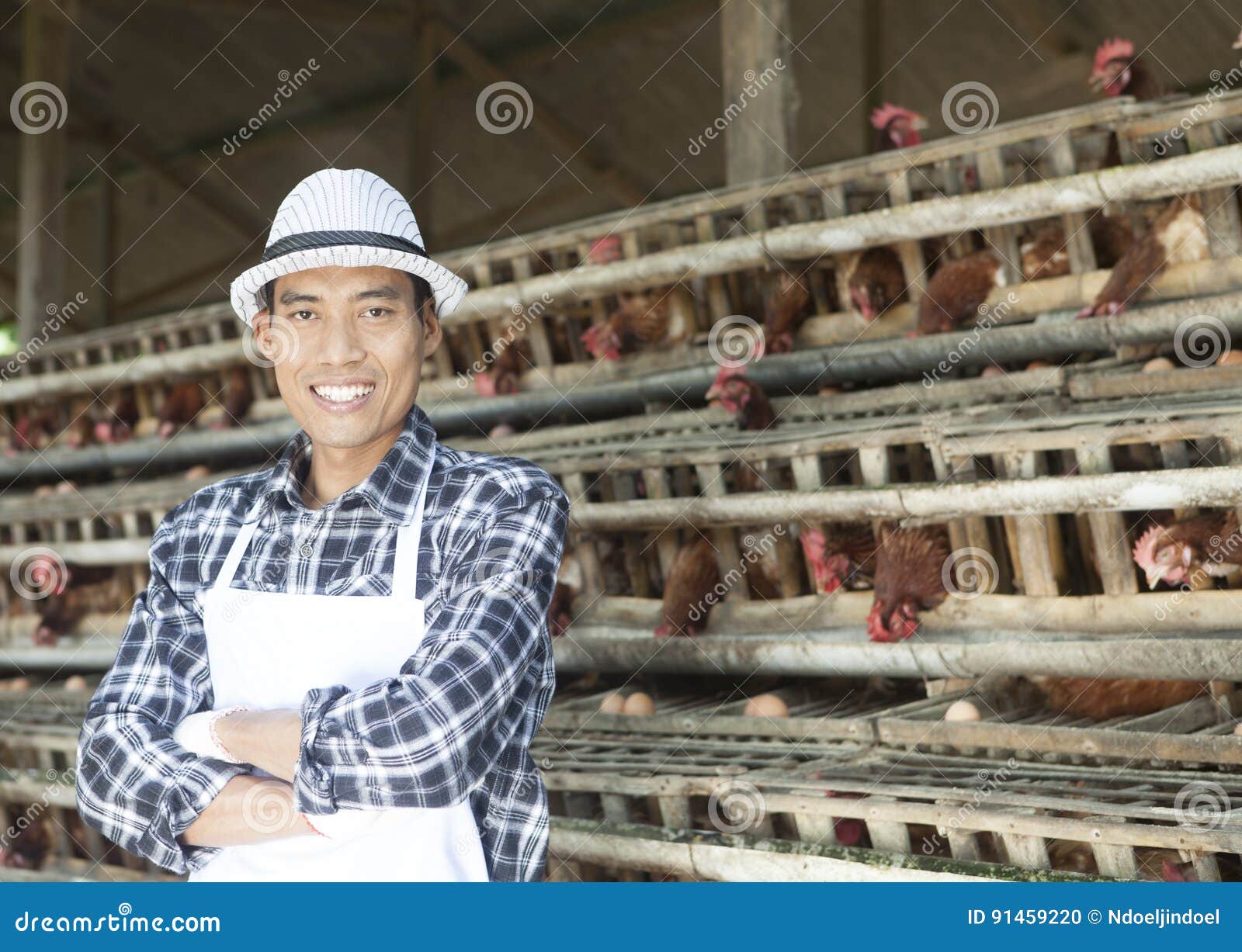 Farmer in chicken farm stock photo. Image of young, industry - 91459220