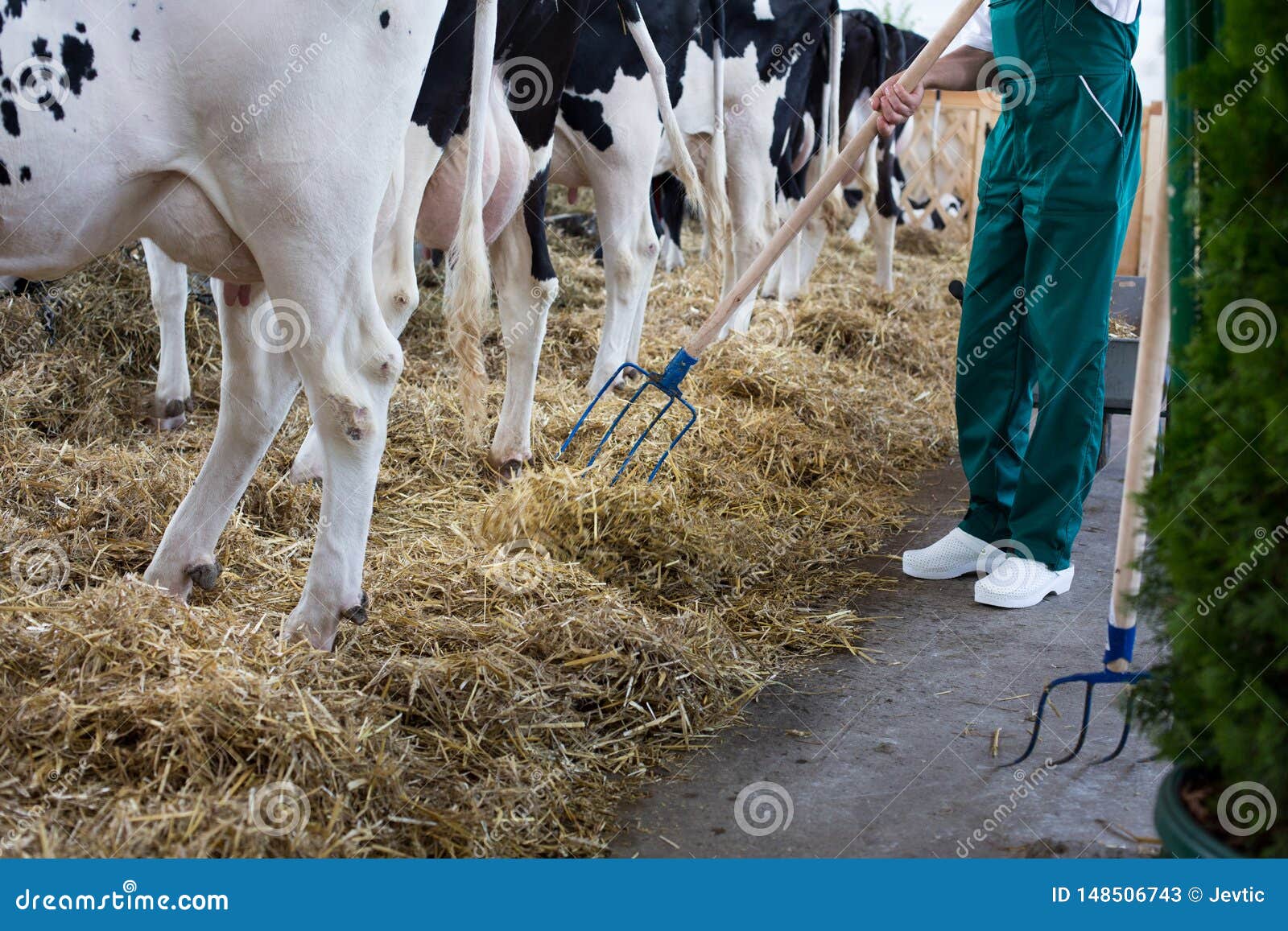 Man Farmer Cleaning Floor With Mop At Horse Stabling Stock Image ...