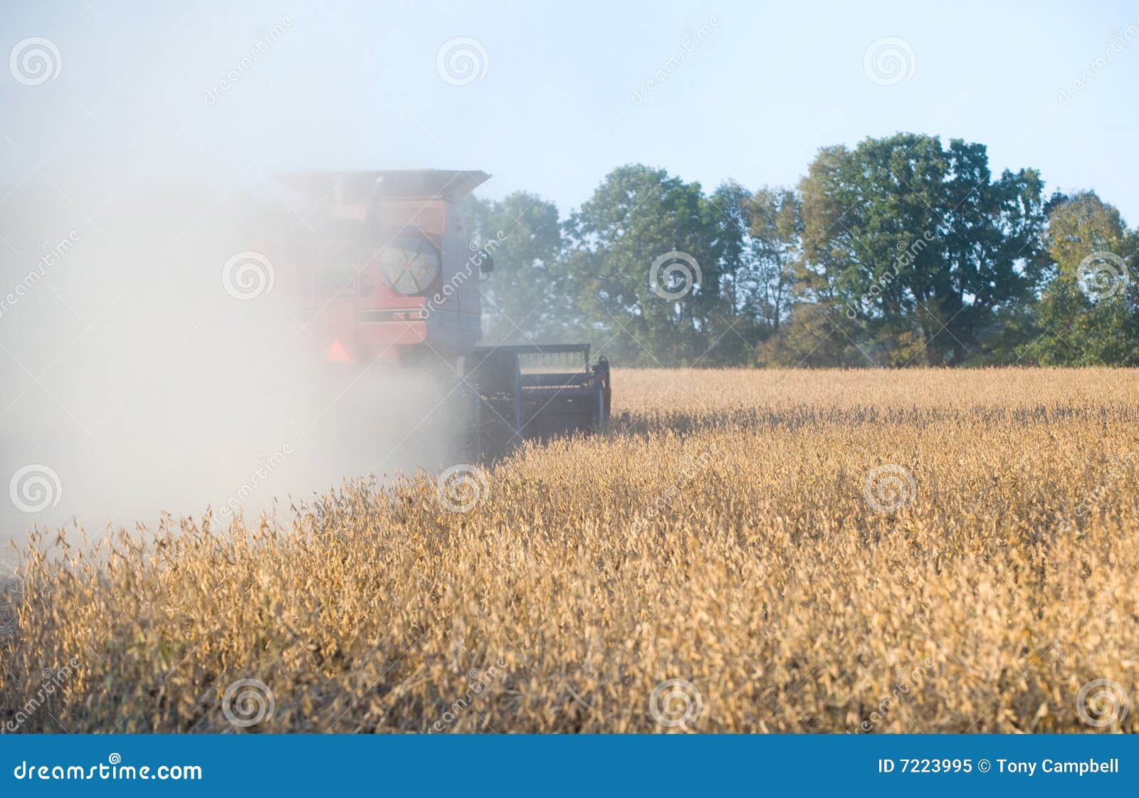 Farmer combining soybeans stock image. Image of fall, beans - 7223995