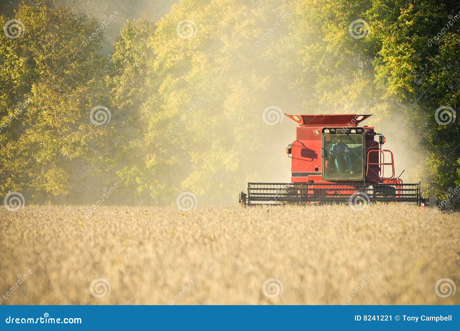 Farmer combining soybeans stock image. Image of plant - 8241221