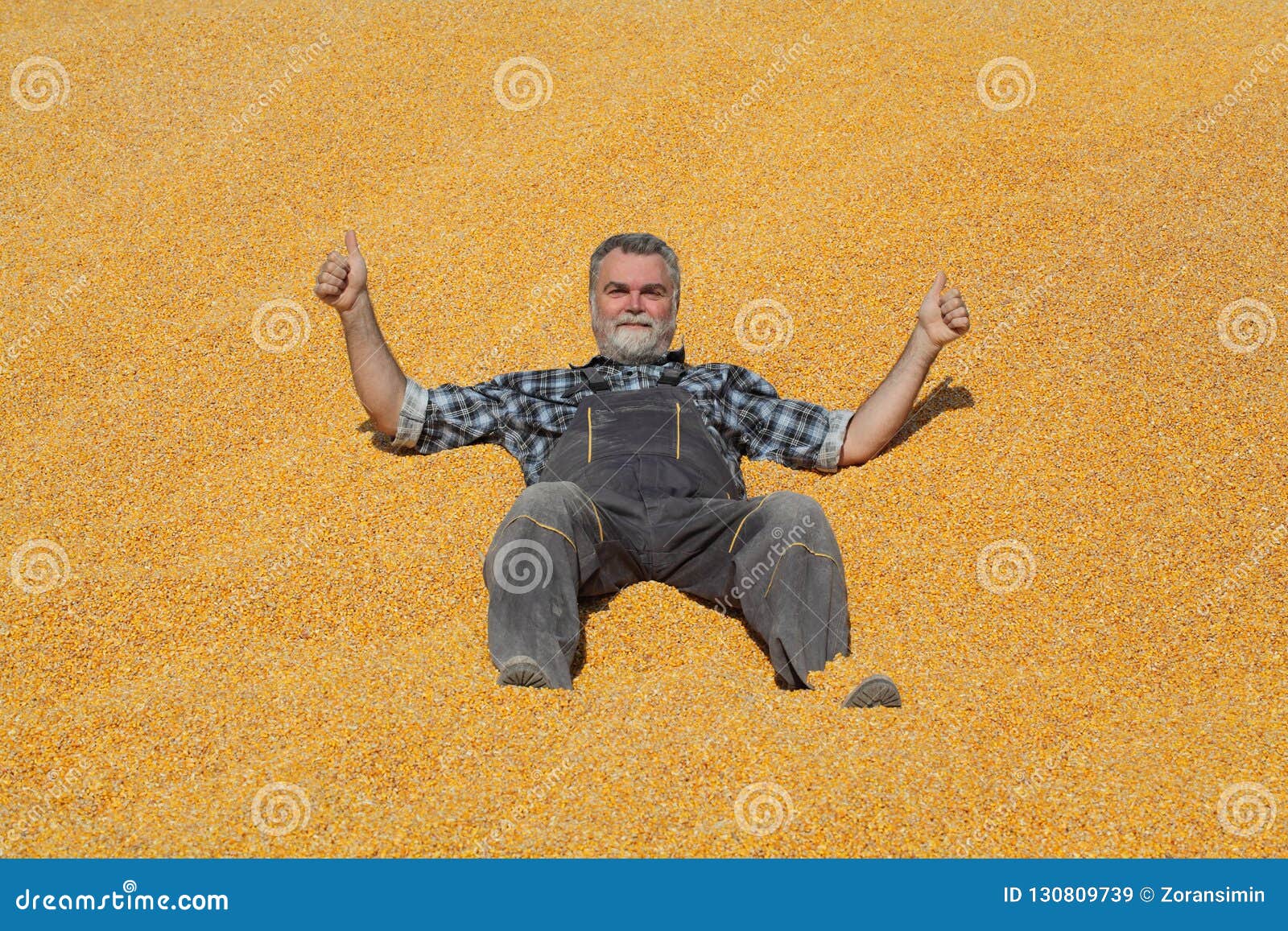 Farmer at Corn Stack after Harvest Stock Image - Image of male, person ...