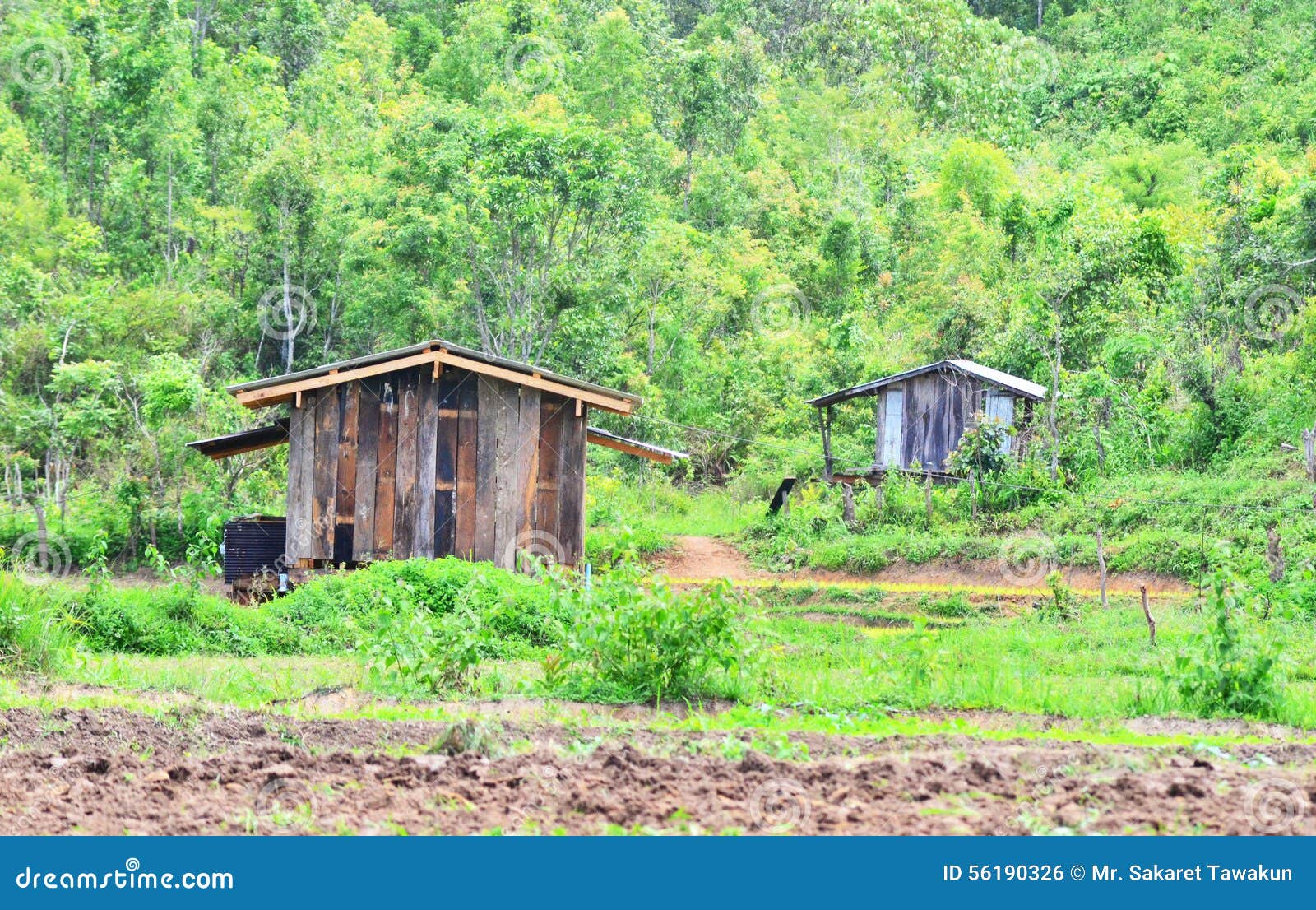 Farmer cottage stock photo. Image of nature, fields, rural - 56190326