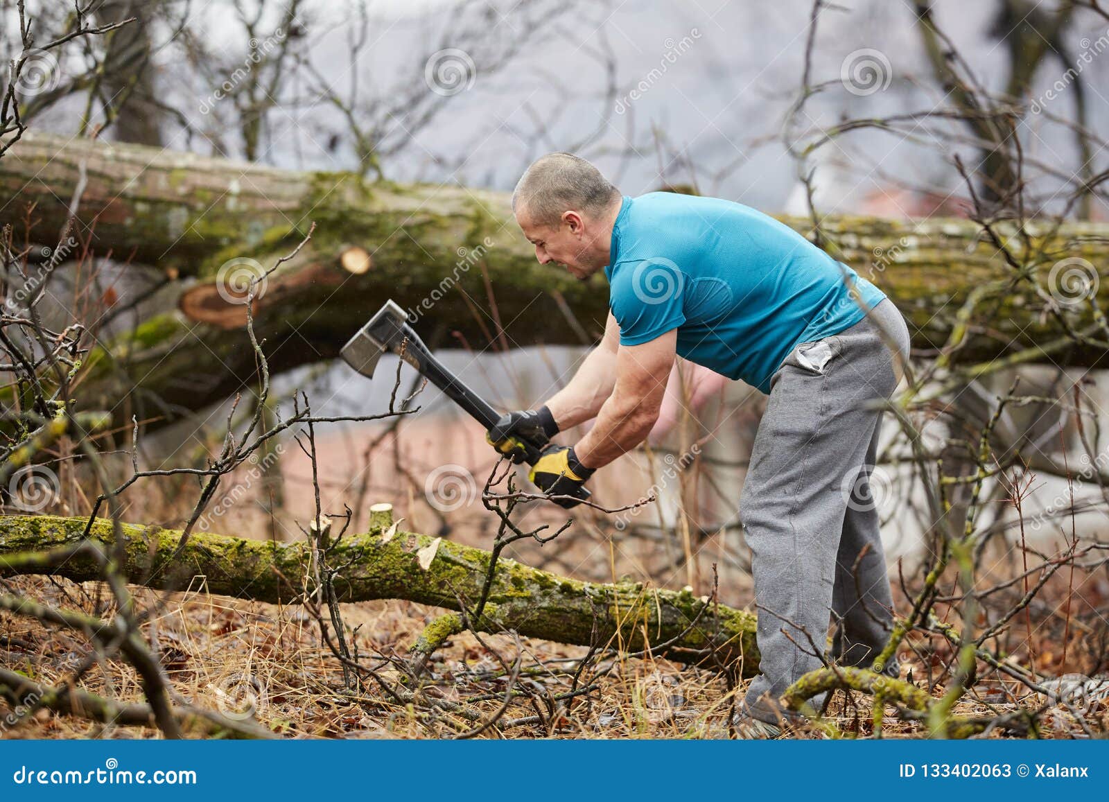 Farmer working on a tree stock image. Image of timbering - 133402063