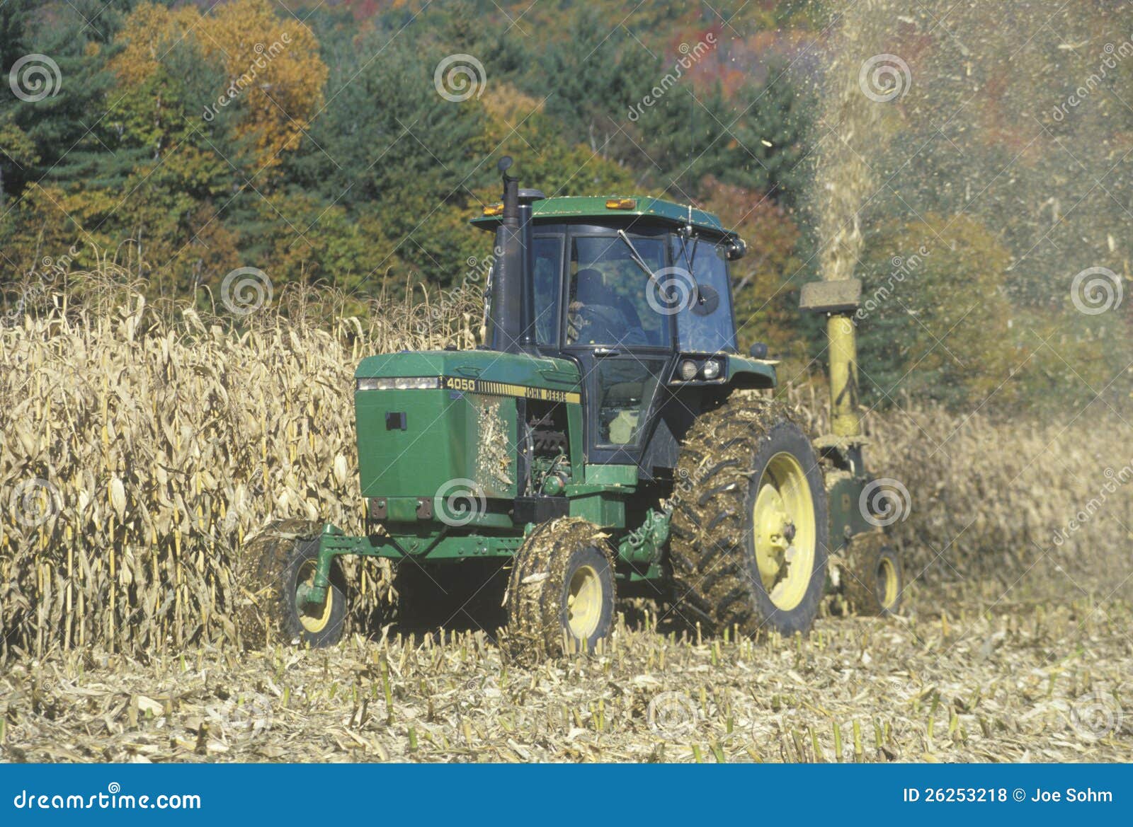 Farmer Cutting Corn with Tractor Editorial Stock Photo - Image of ...