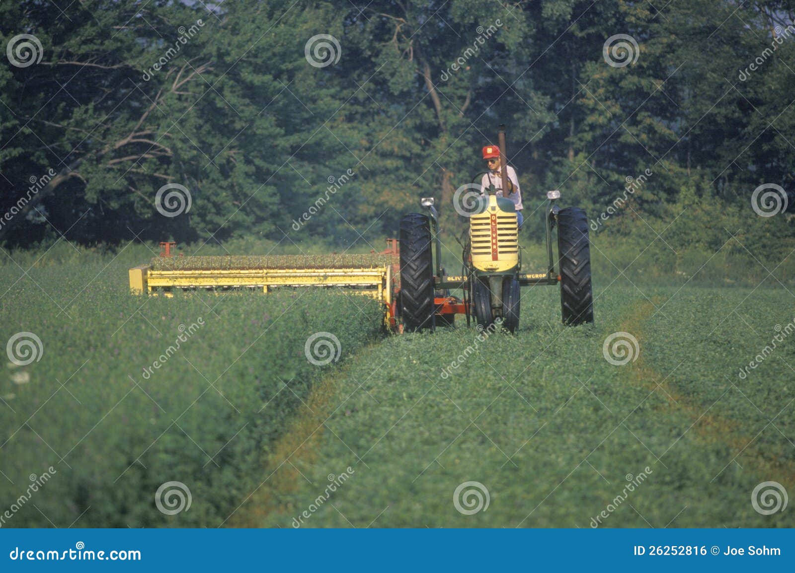 Farmer cutting hay field editorial photo. Image of mowing - 26252816